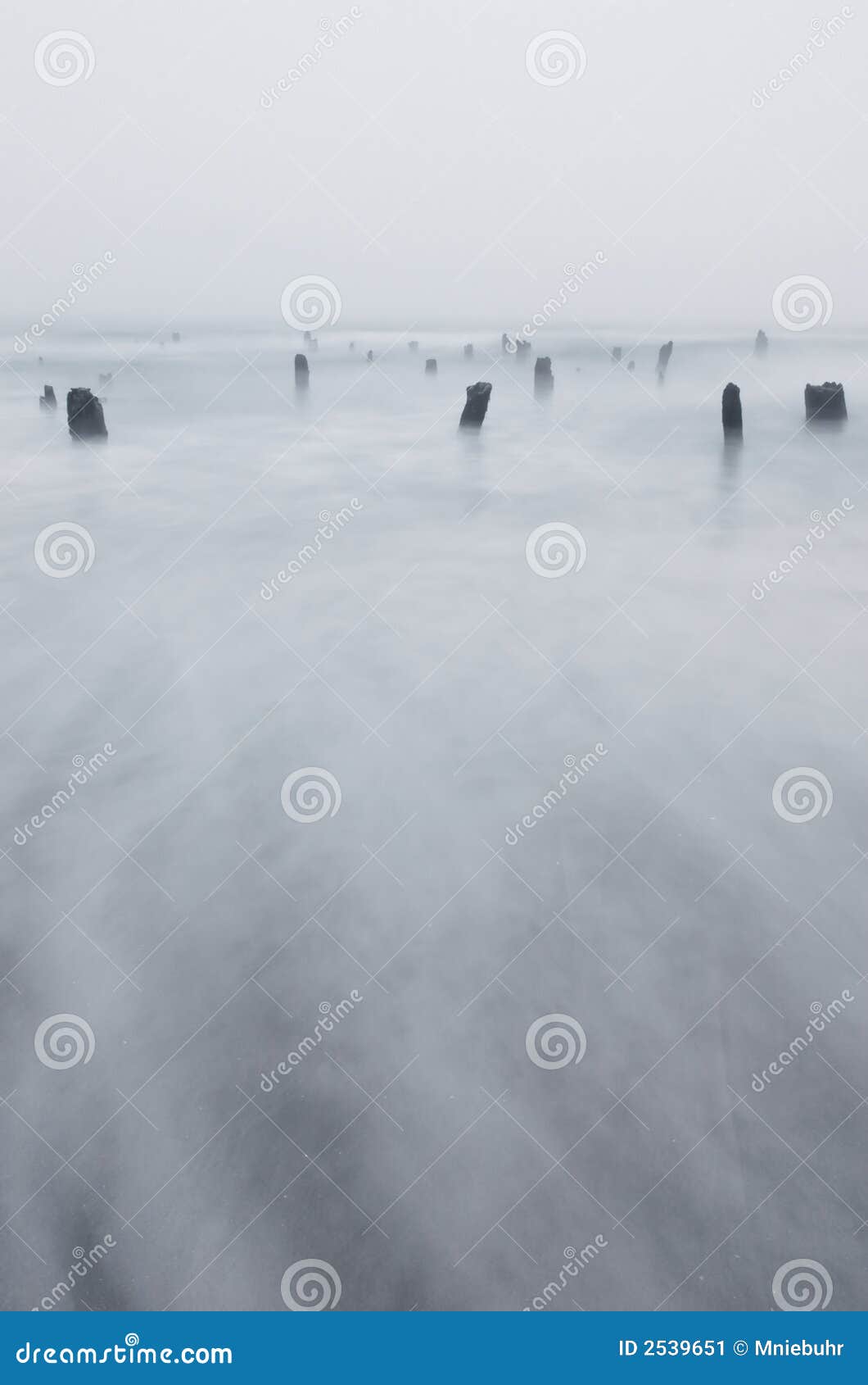 Coast Beach Waves and Stumps Stock Image - Image of boulder, native ...