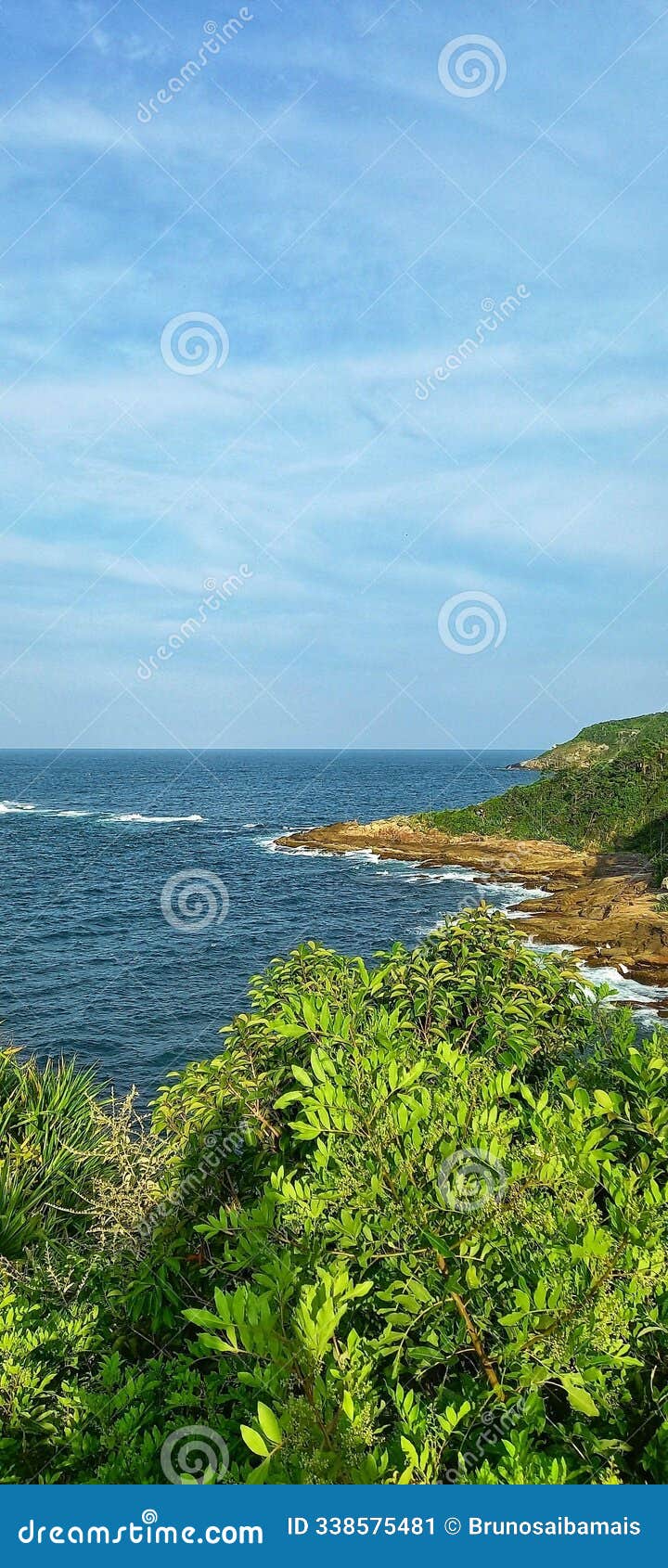 Incredible Brazilian Coast with Rocks Stock Image - Image of forest ...