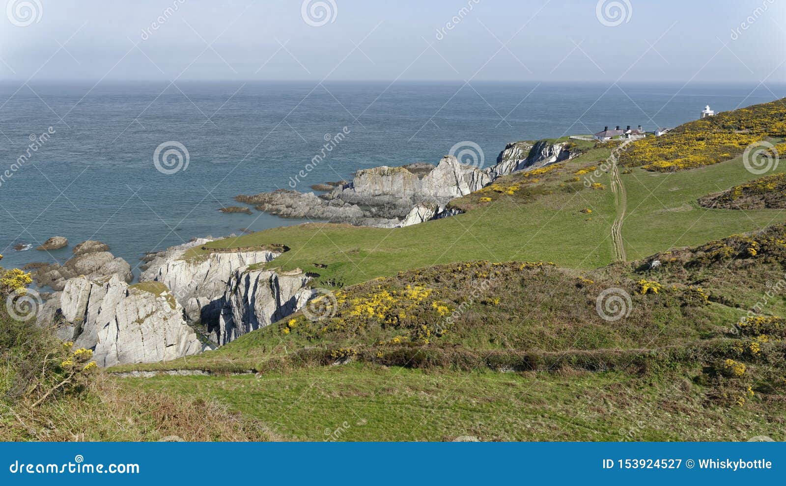 Coast at Bull Point stock image. Image of rural, british - 153924527