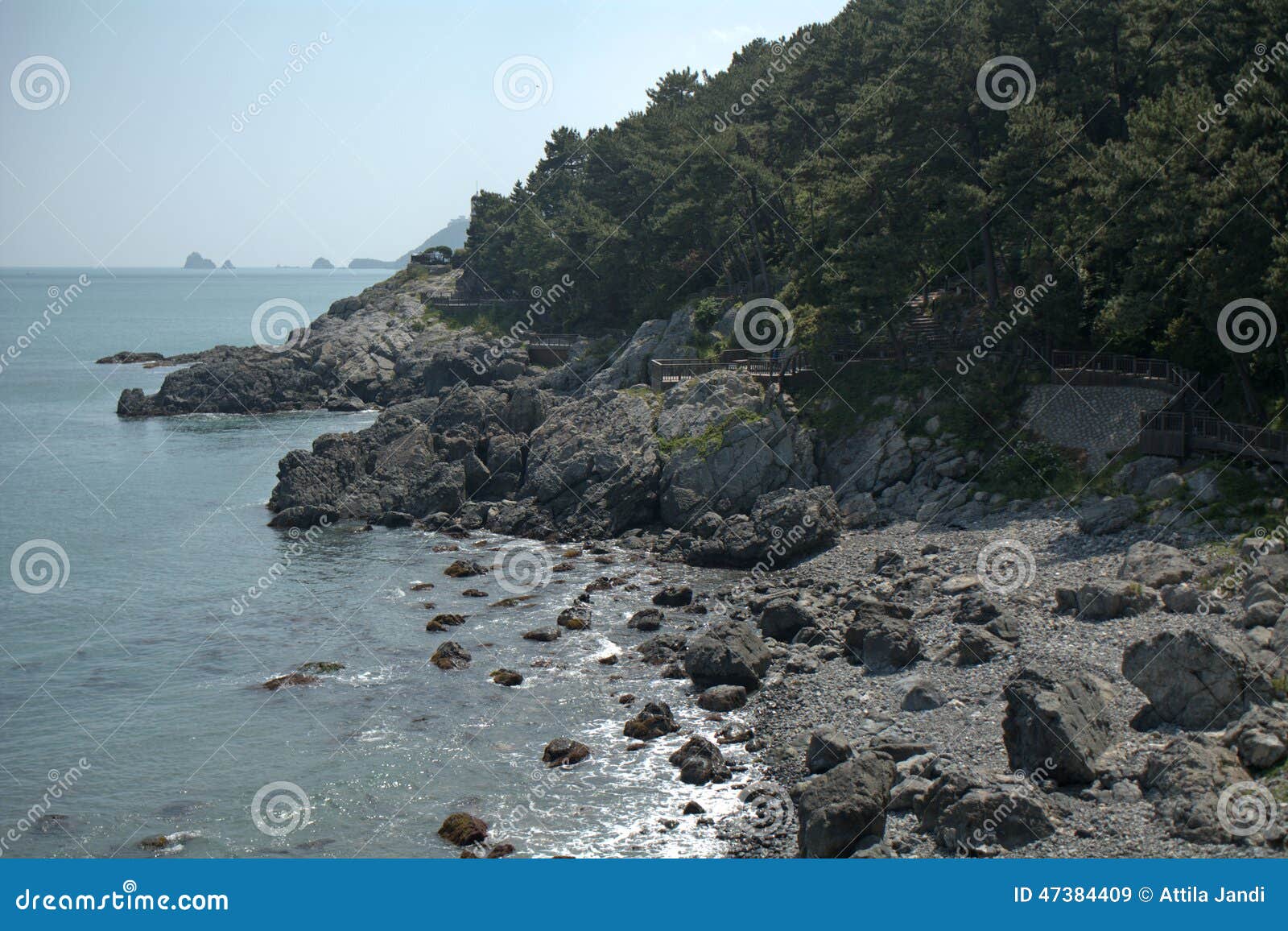 Coast, Busan, Korean Republic Stock Image - Image of pusan, fauna: 47384409