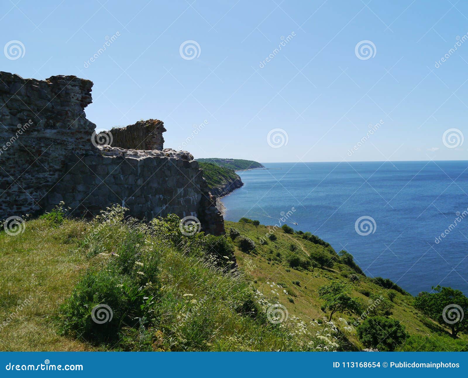 Coast, Cliff, Headland, Nature Reserve Picture. Image: 113168654
