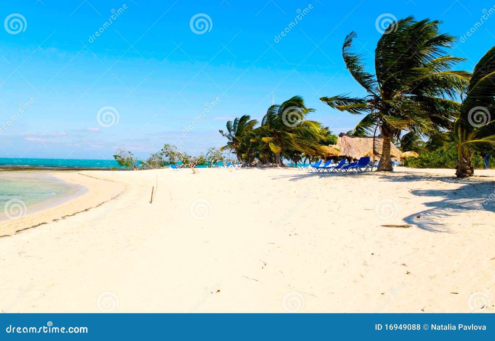The coast of Cuba stock photo. Image of travel, sand - 16949088