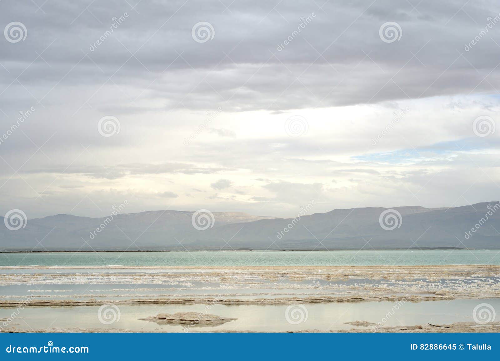 Coast of the Dead Sea stock image. Image of sand, dead - 82886645