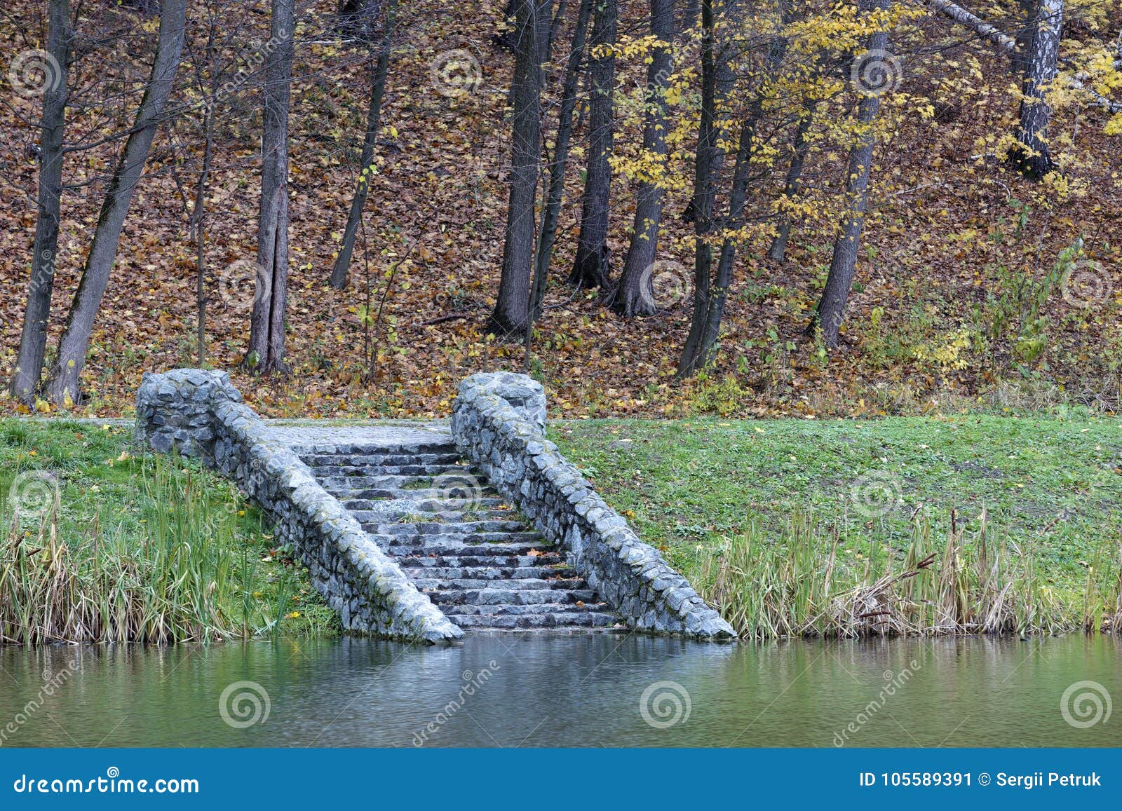 Old Steps of Stone Descent on the Shore of a Forest Pond. Stock Image ...
