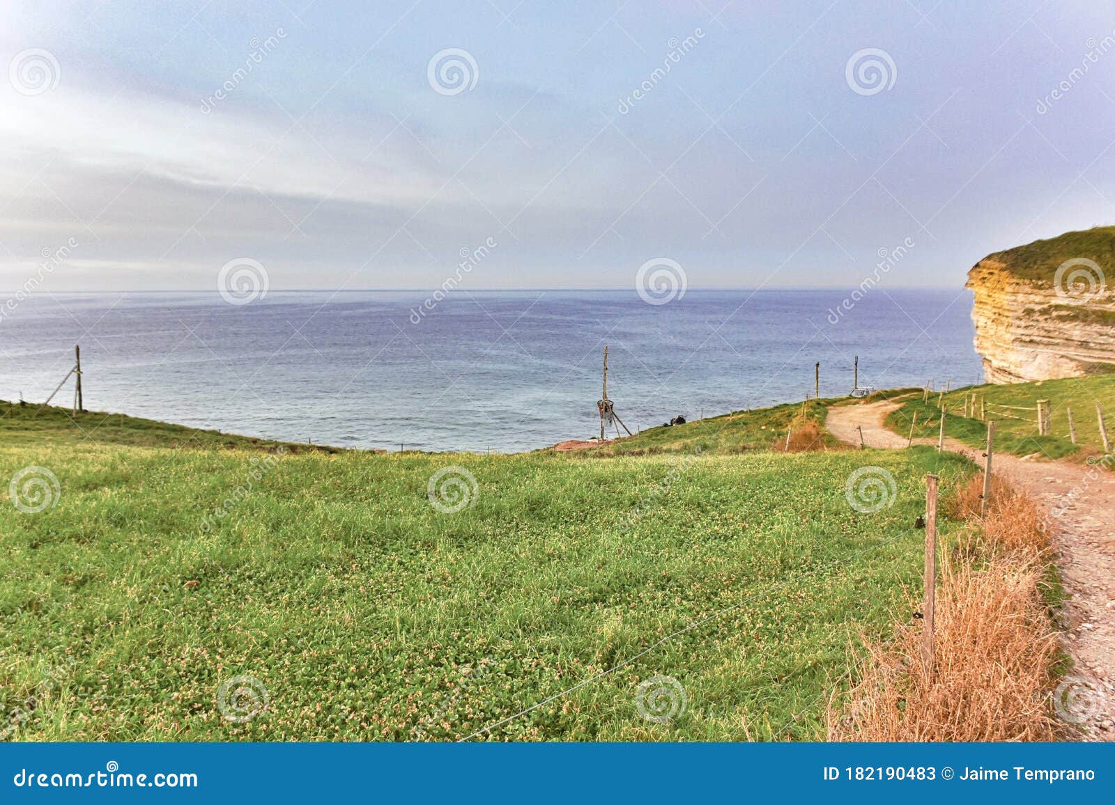 Coast Full of Greenery by the Sea Stock Image - Image of blue, dusk ...