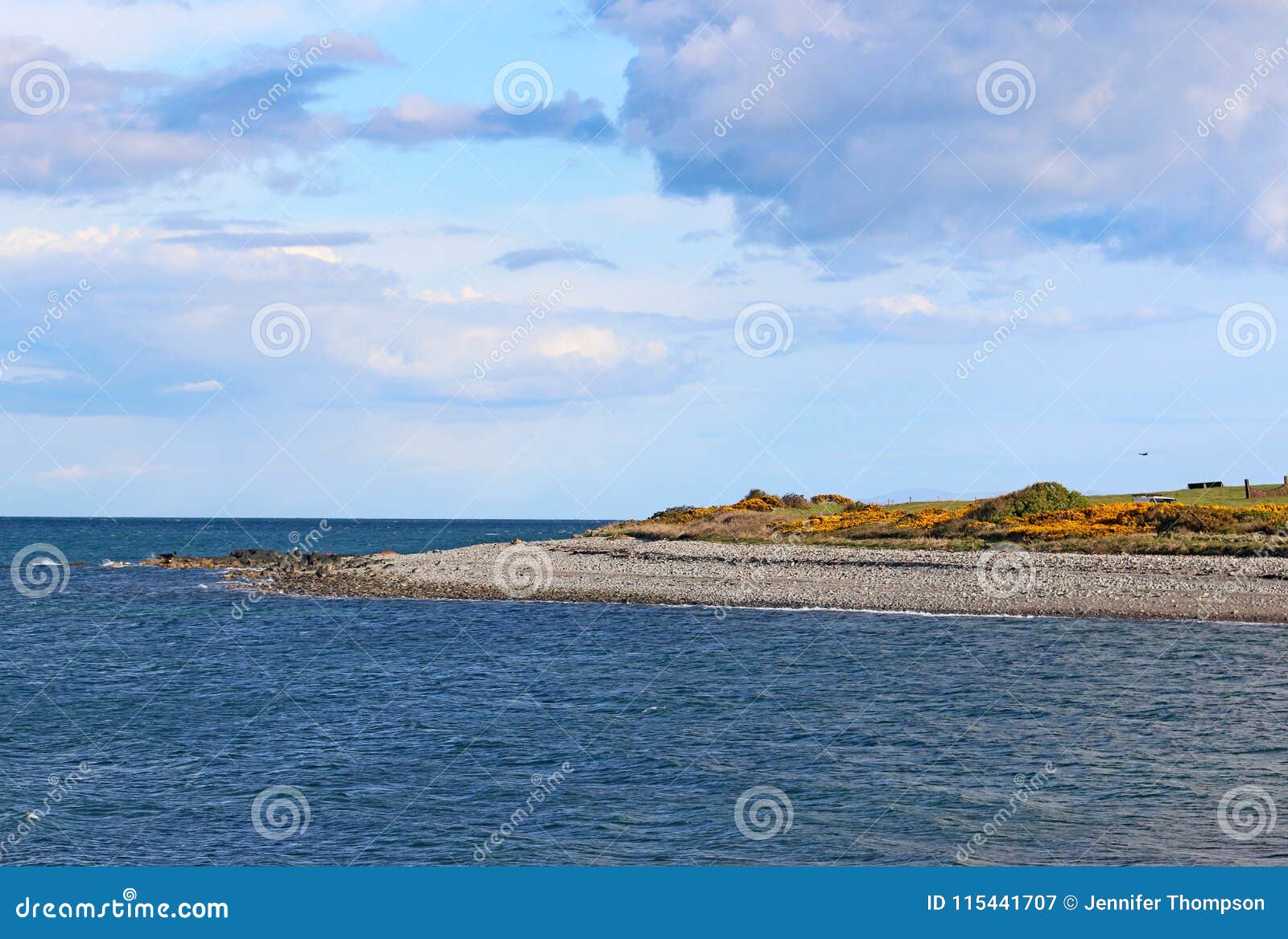 Coast of Galloway, Scotland Stock Image - Image of seaweed, mull: 115441707