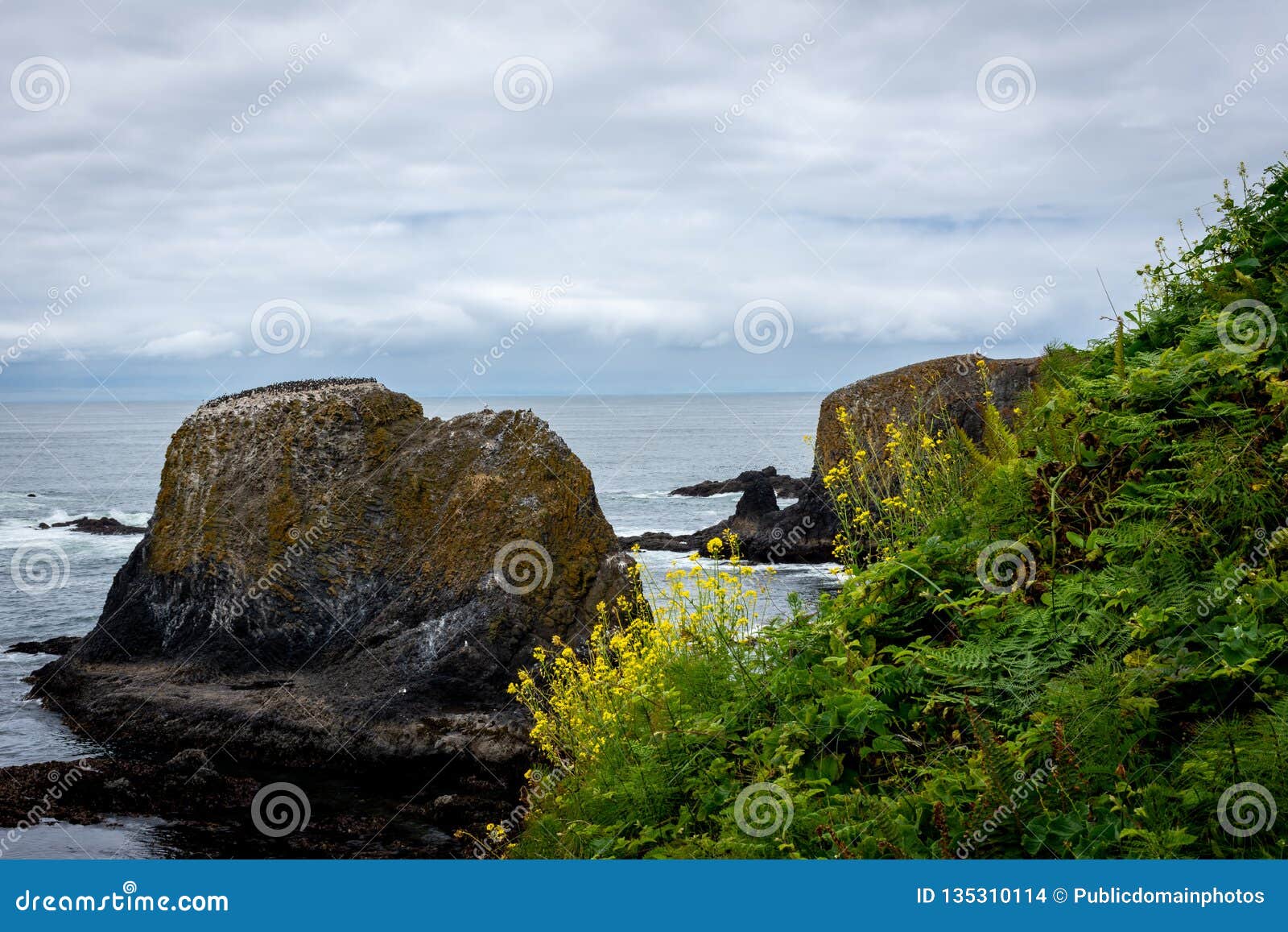 Coast, Headland, Rock, Promontory Picture. Image: 135310114