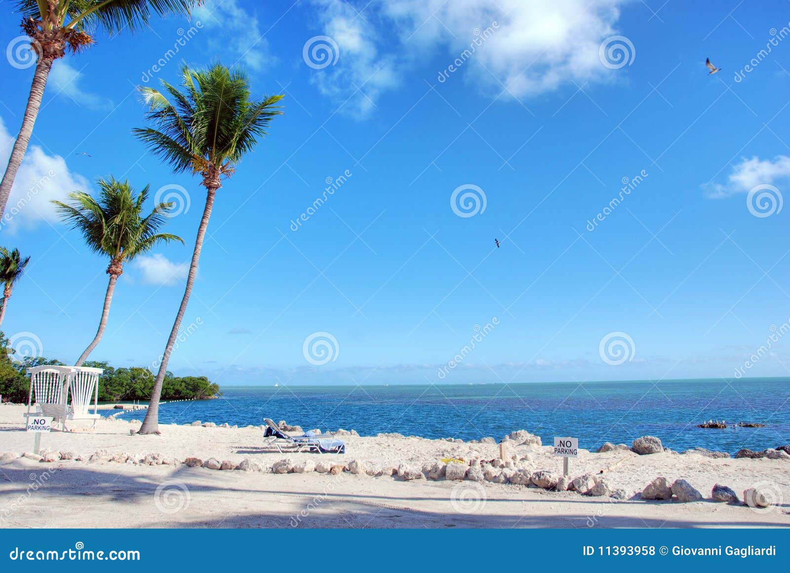 Coast of the Keys, Islamorada, Florida Stock Photo - Image of heaven ...