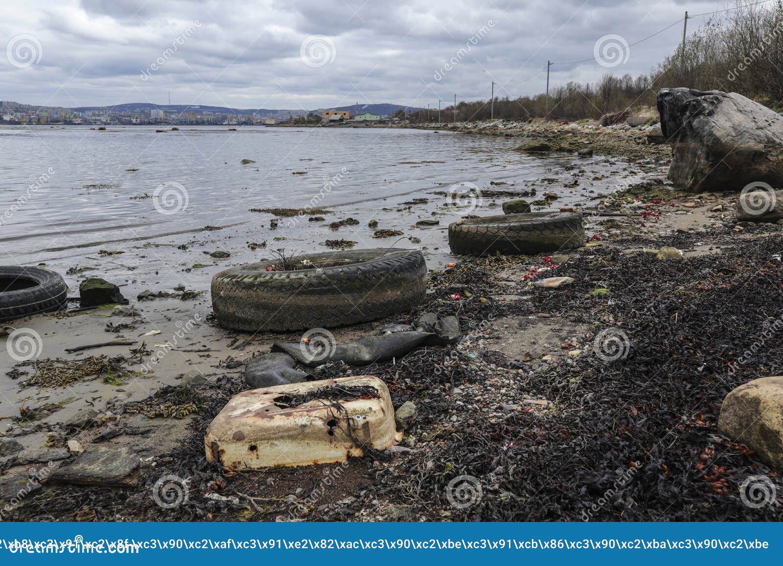 Coast of the Kola Bay, Pollution of the Coastline with Waste Editorial ...