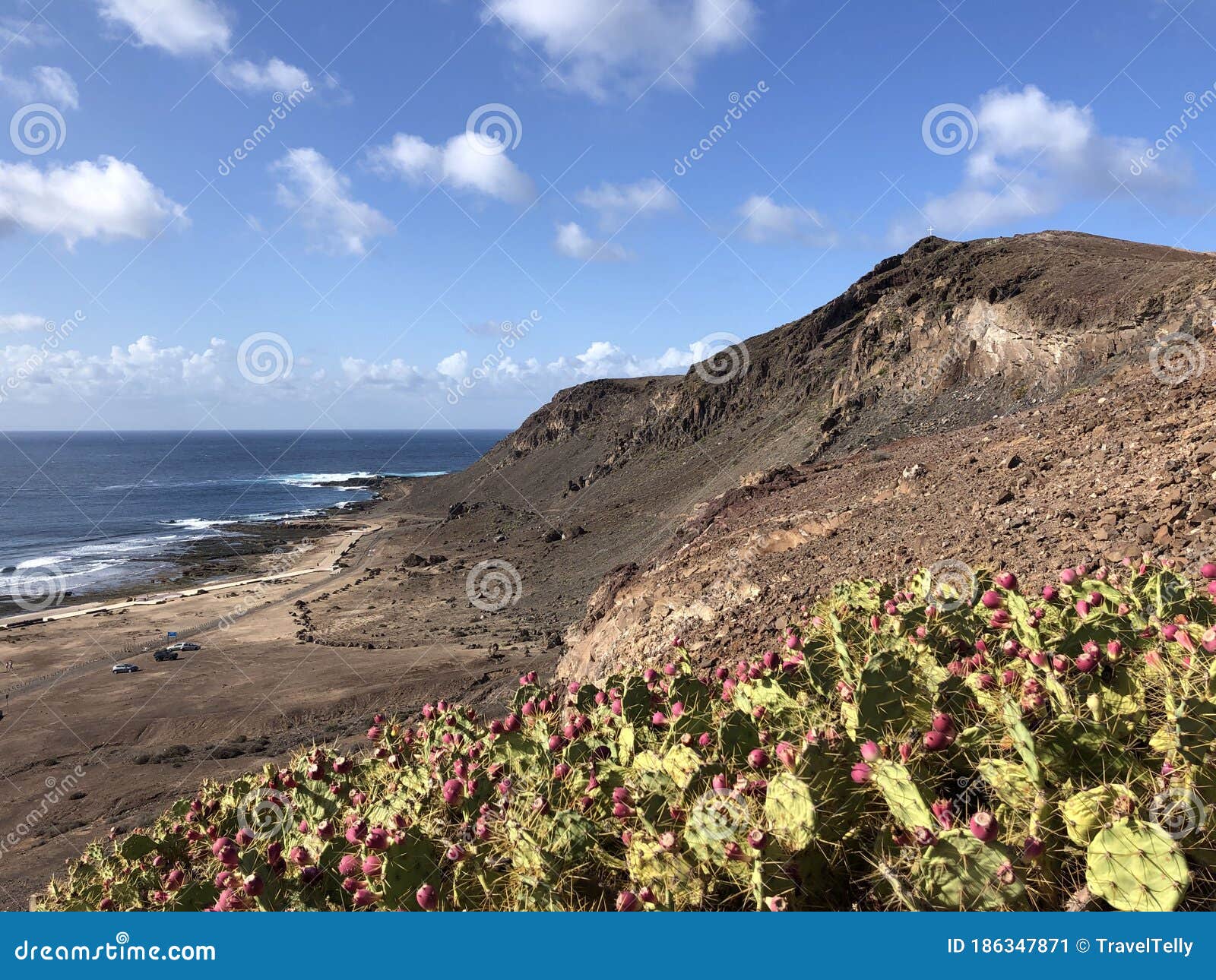 The coast of La Isleta stock image. Image of ocean, harbor - 186347871