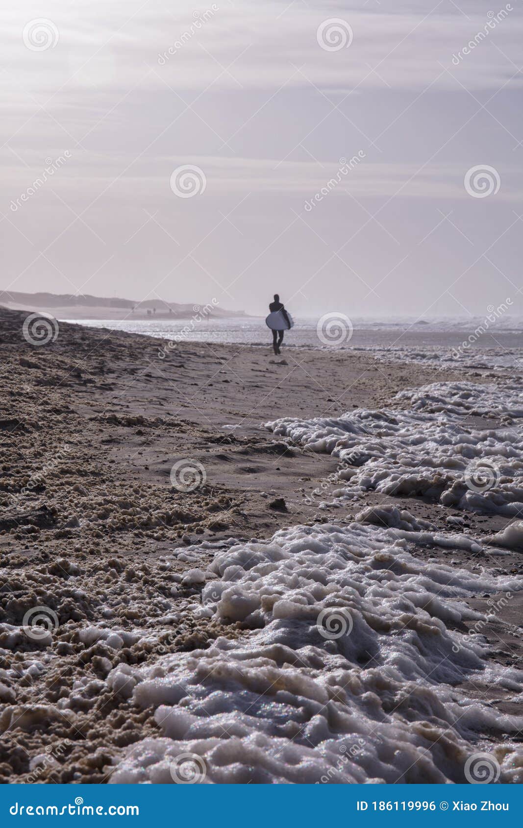 Coast line of the hague stock photo. Image of texture - 186119996