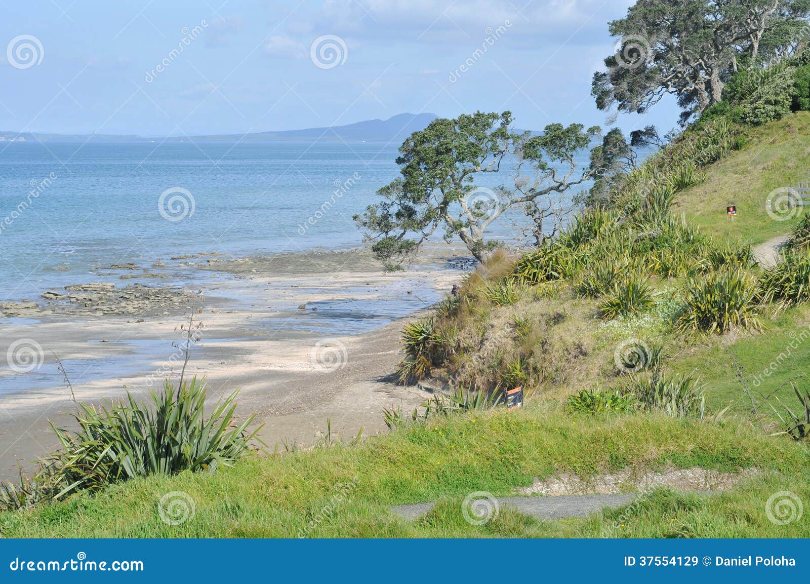 Coast of Long Bay Regional Park Stock Image - Image of view, bush: 37554129