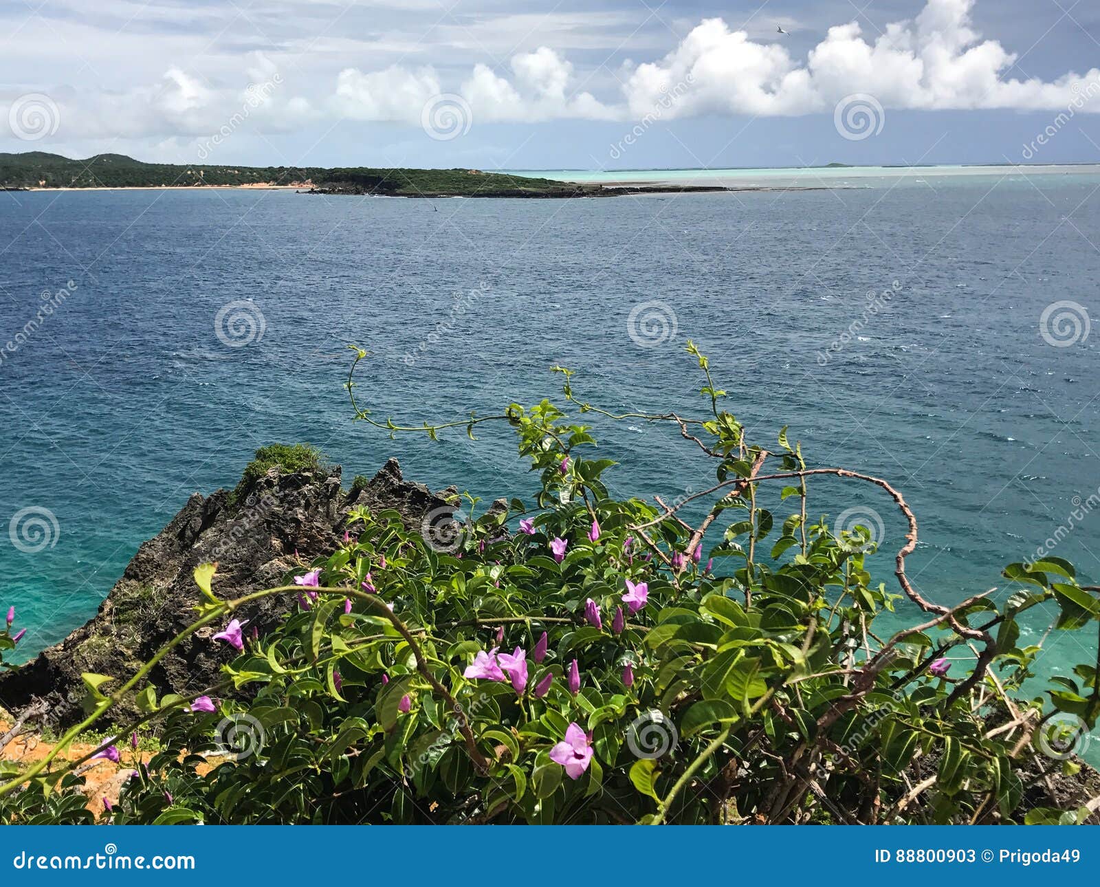 The coast of Madagascar stock image. Image of mood, landscape - 88800903