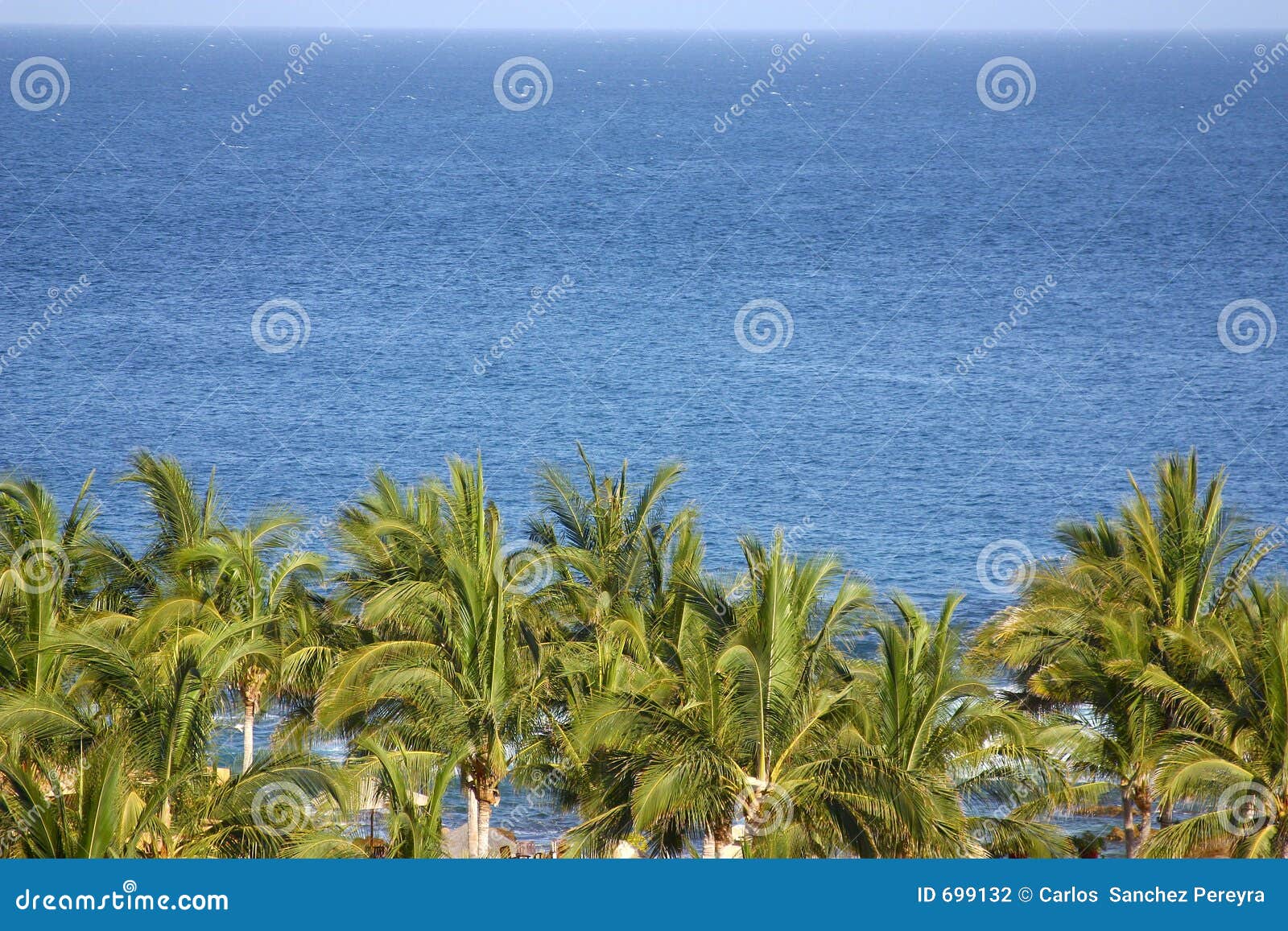Coast of Mexico stock photo. Image of cabo, vacation, mexico - 699132