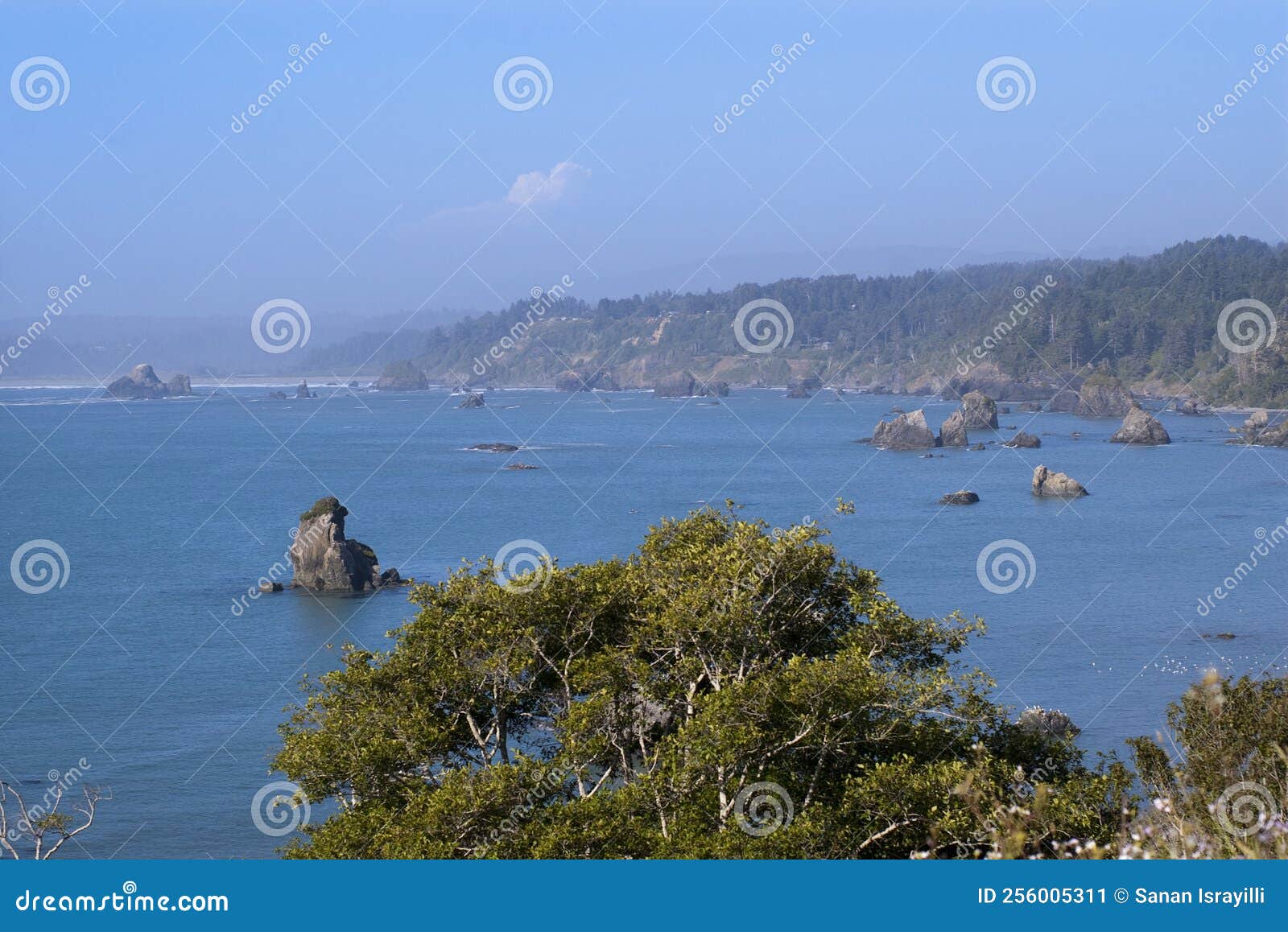 Coast north california stock image. Image of california - 256005311