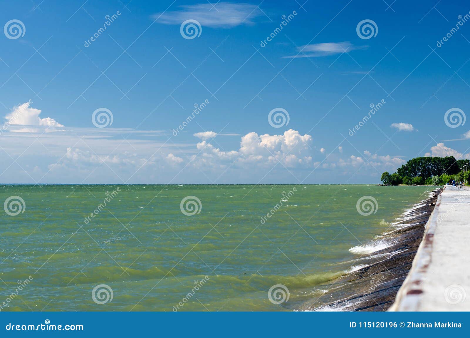The Coast of the Ob Sea on a Summer Sunny Day Stock Photo - Image of ...