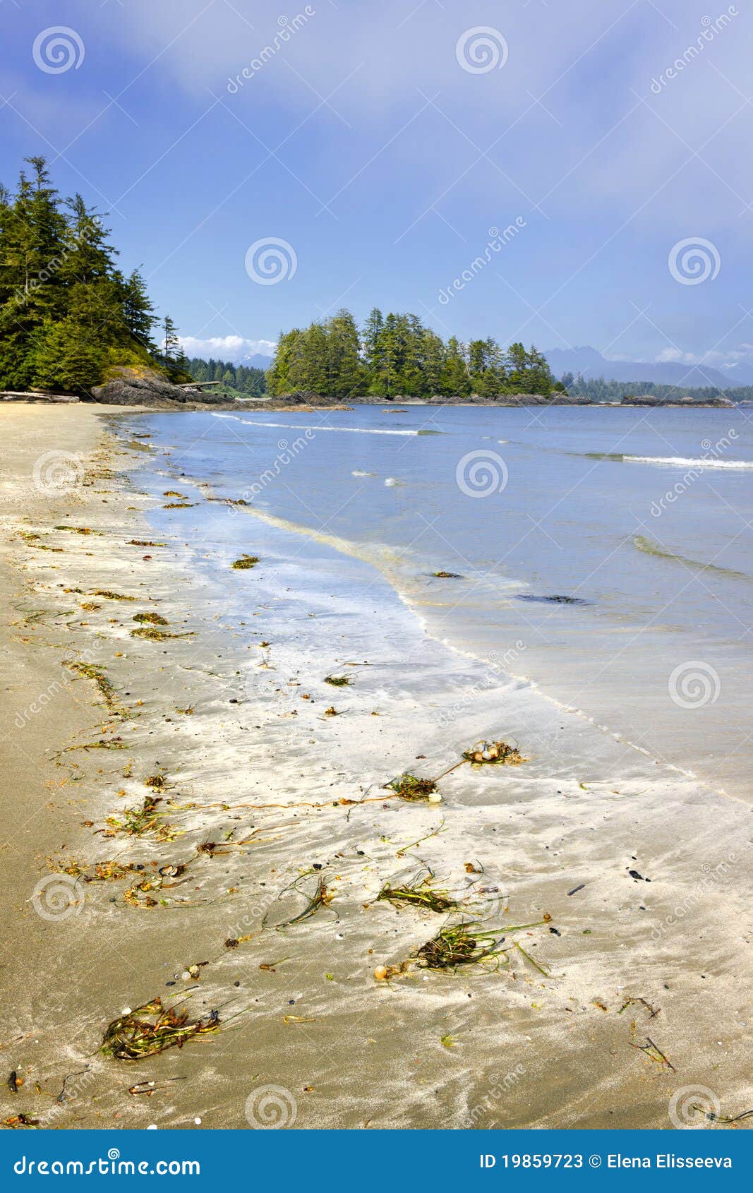 Coast of Pacific Ocean, Vancouver Island, Canada Stock Image - Image of ...