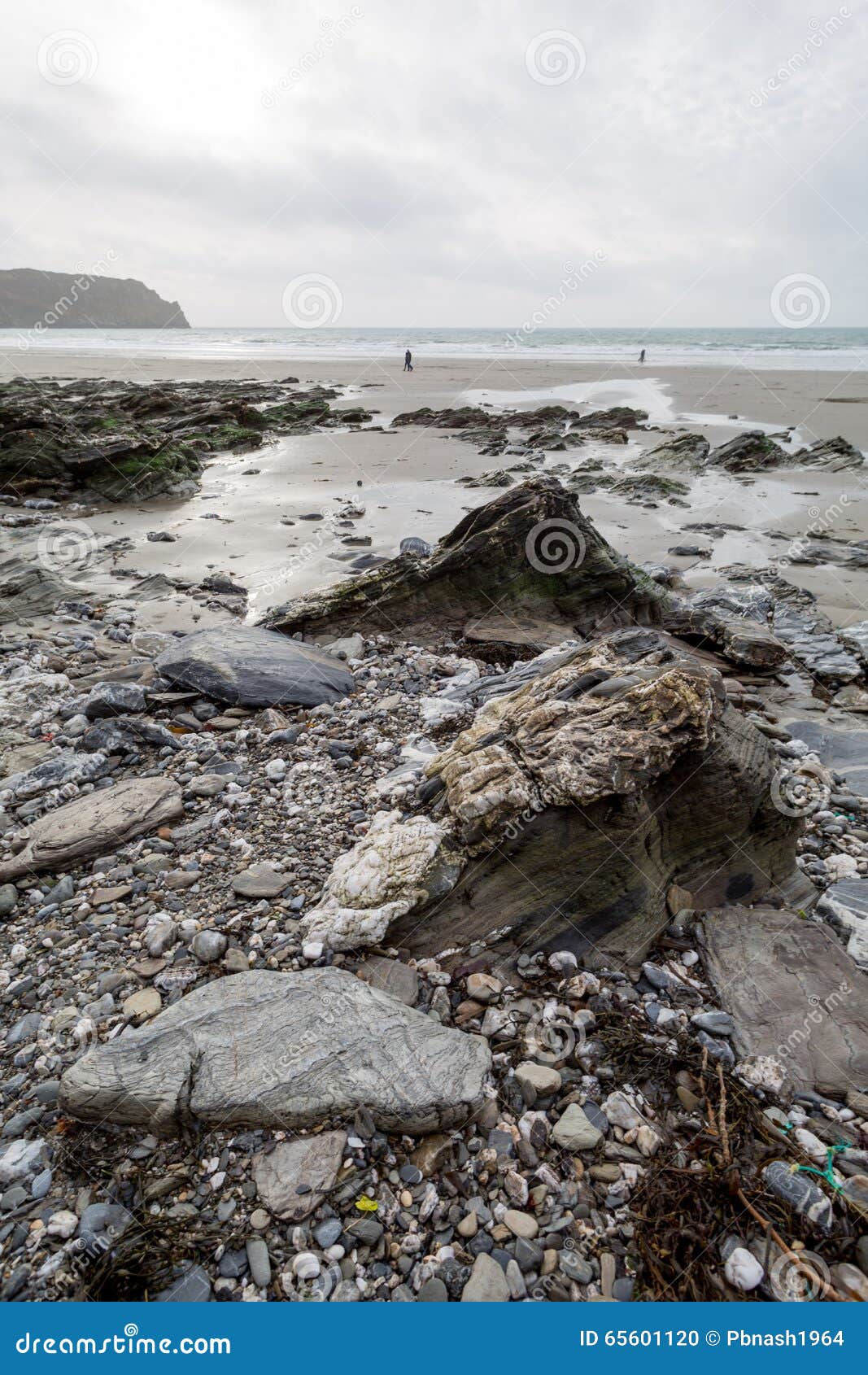 On the Coast Path Cornwall England Uk Stock Photo - Image of english ...