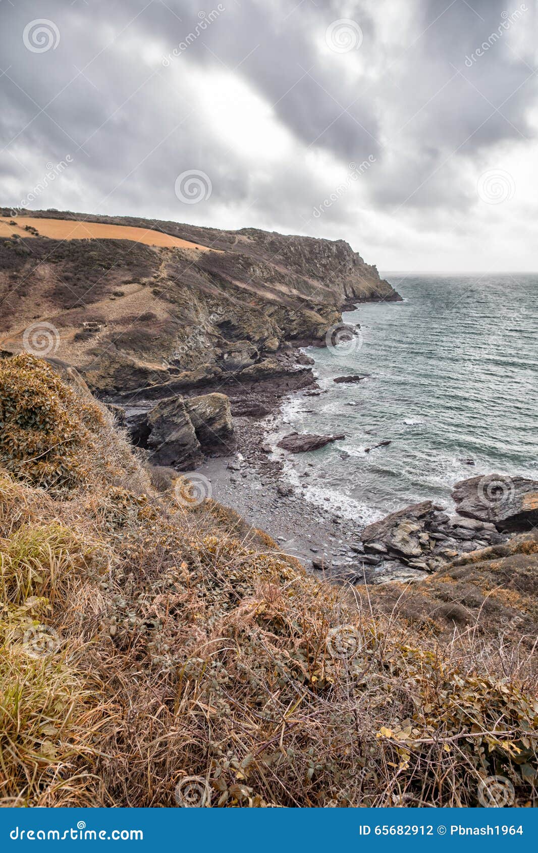 On the Coast Path Cornwall England Uk Stock Photo - Image of european ...