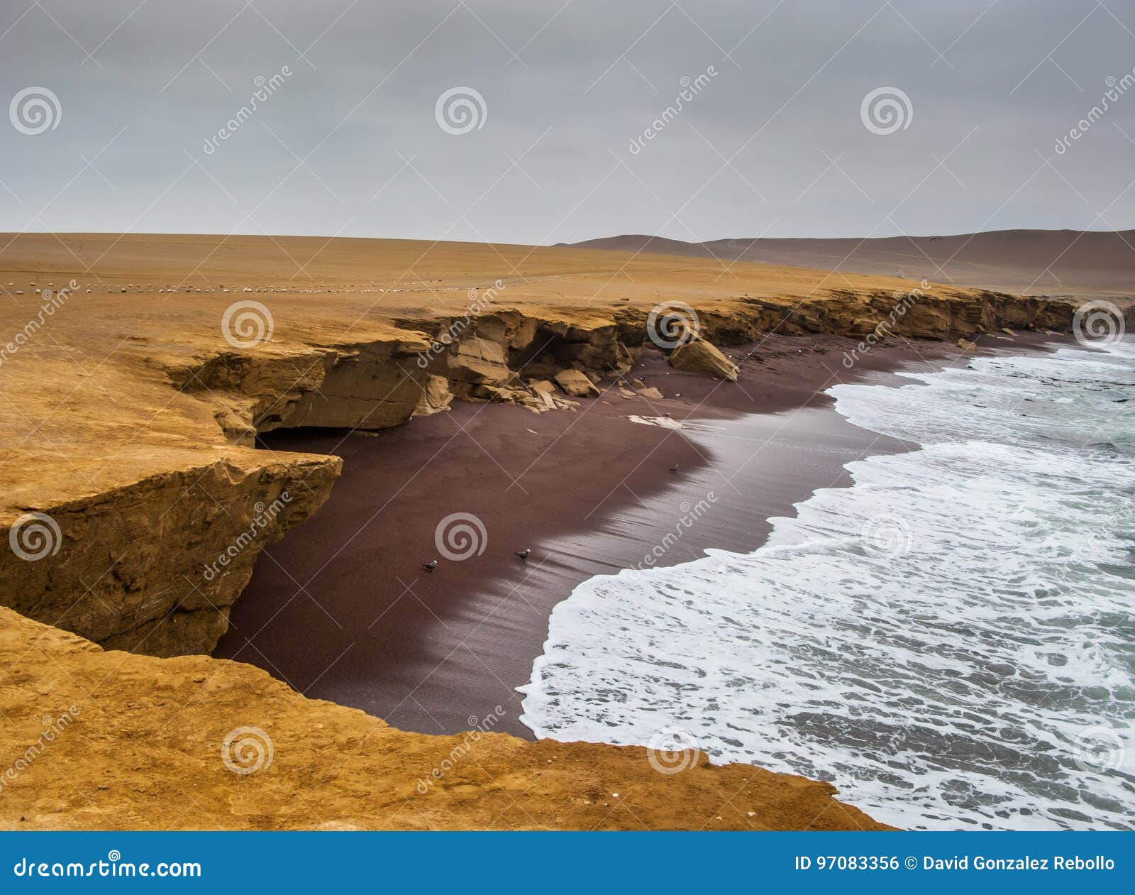 The Coast and Red Sand Beach of Paracas National Reserve Stock Photo ...