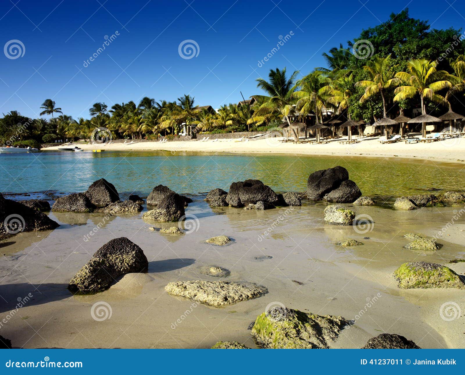 The Coast of a Sandy Beach in Tropics Stock Image - Image of relax ...