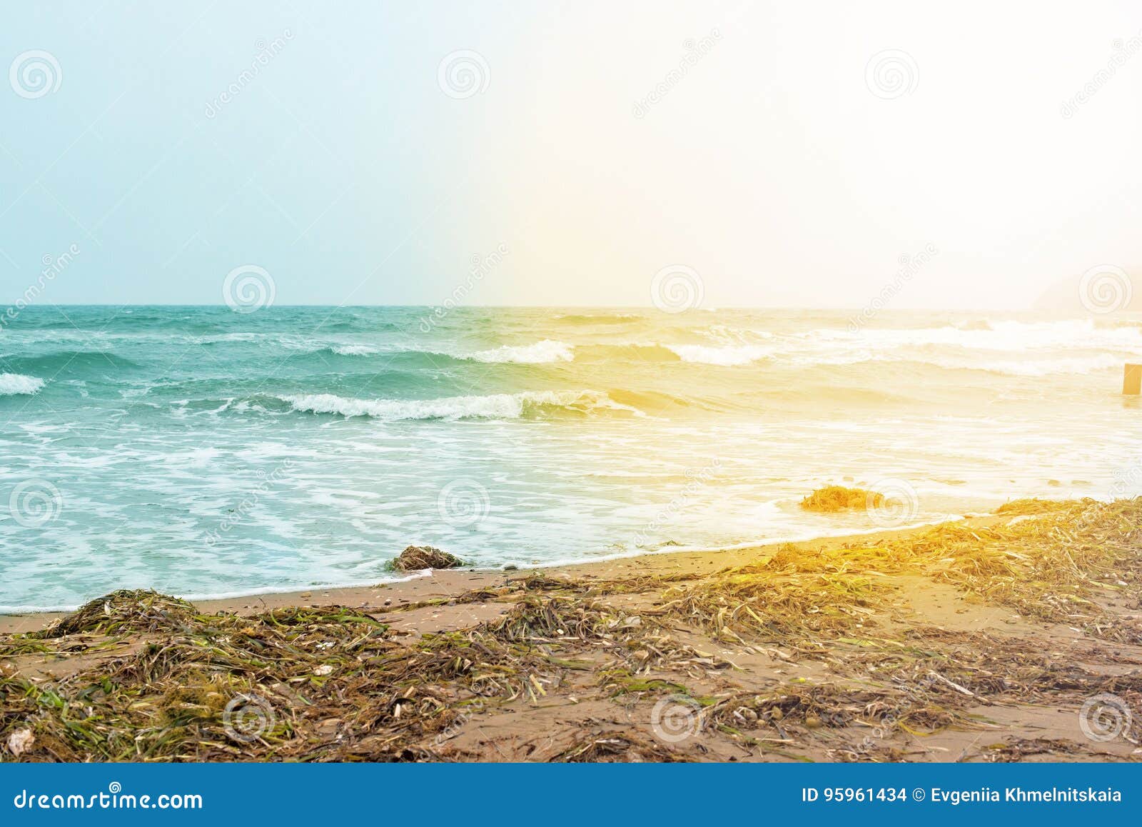 Coast of the sea of Japan stock photo. Image of summer - 95961434