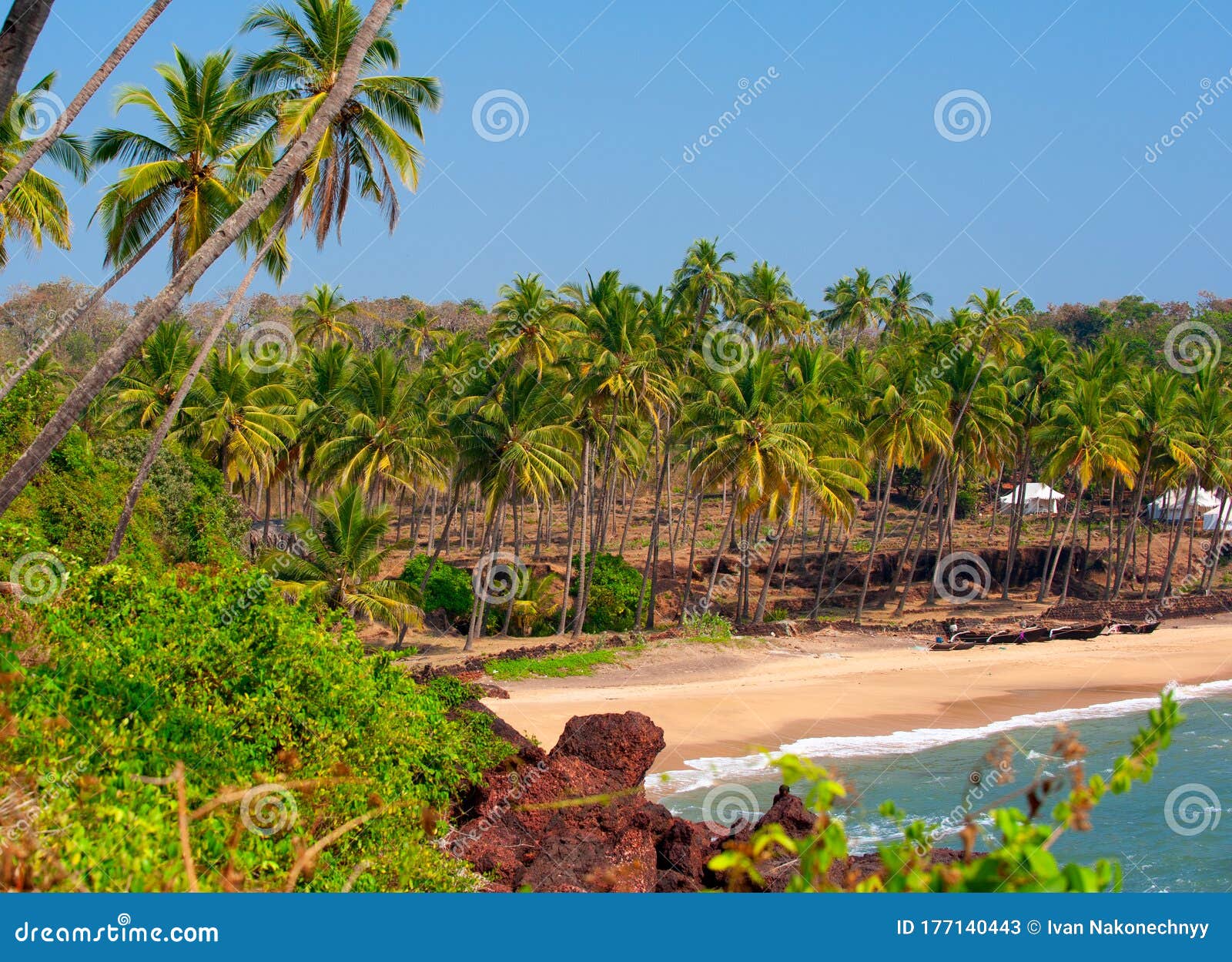 Coast of the Sea with Palm Trees on Goa Stock Image - Image of sunny ...