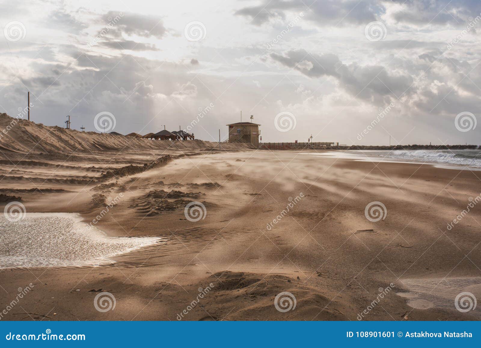 On the Coast a Strong Wind Blows with Sand Against the Backdrop Stock ...