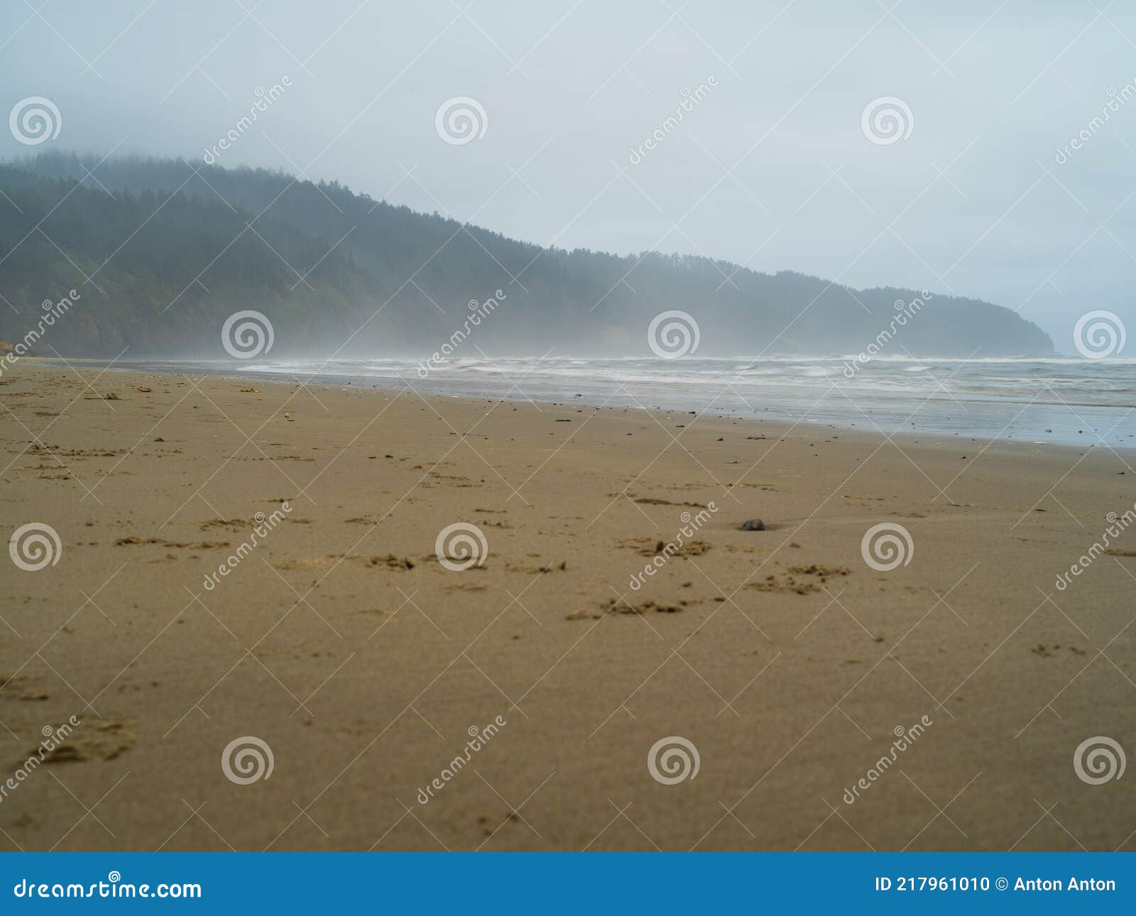 Coast of Washington State or Oregon with Cliffs and the Pacific Ocean ...