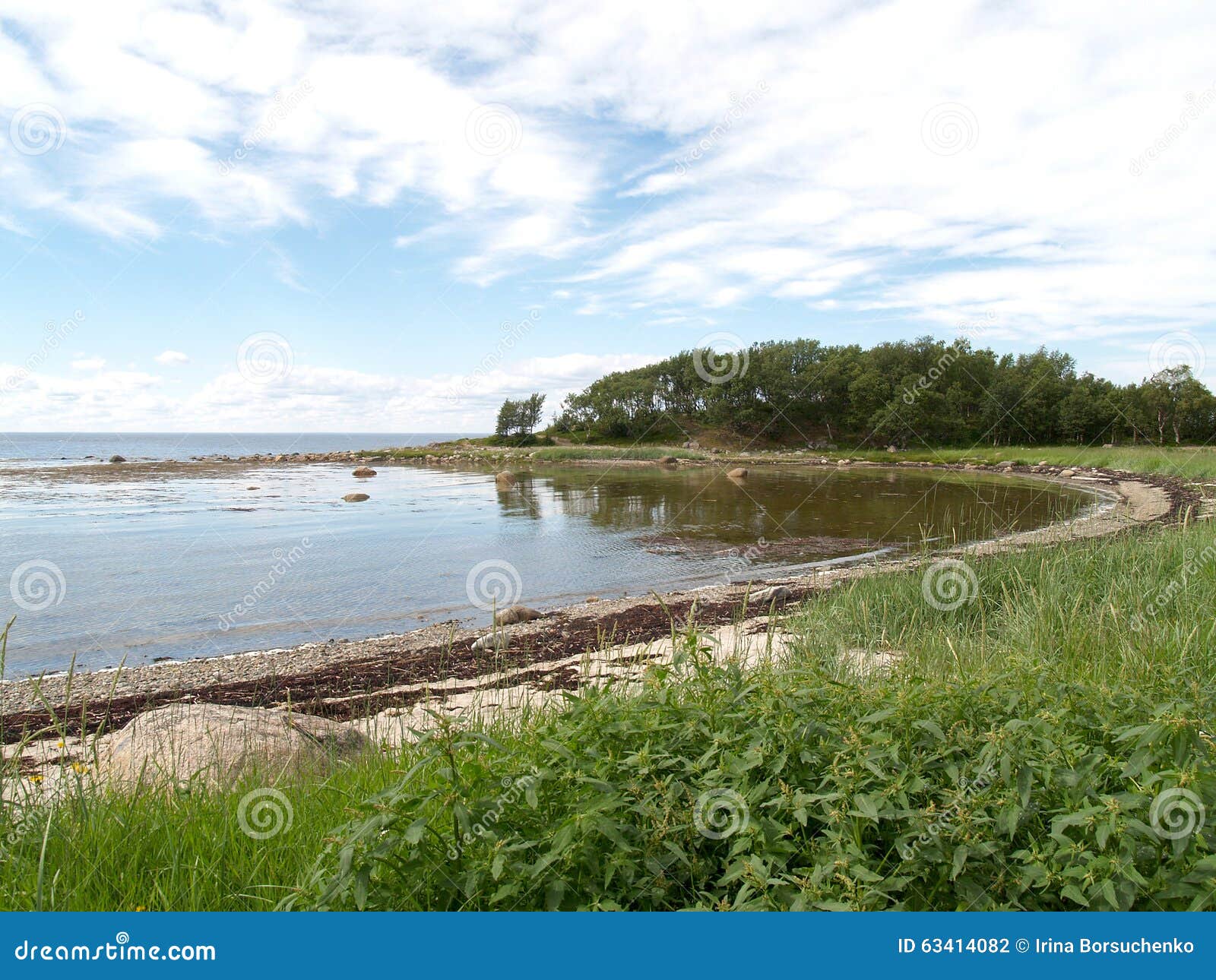 The Coast of the White Sea at the Big Solovki Island Stock Photo ...