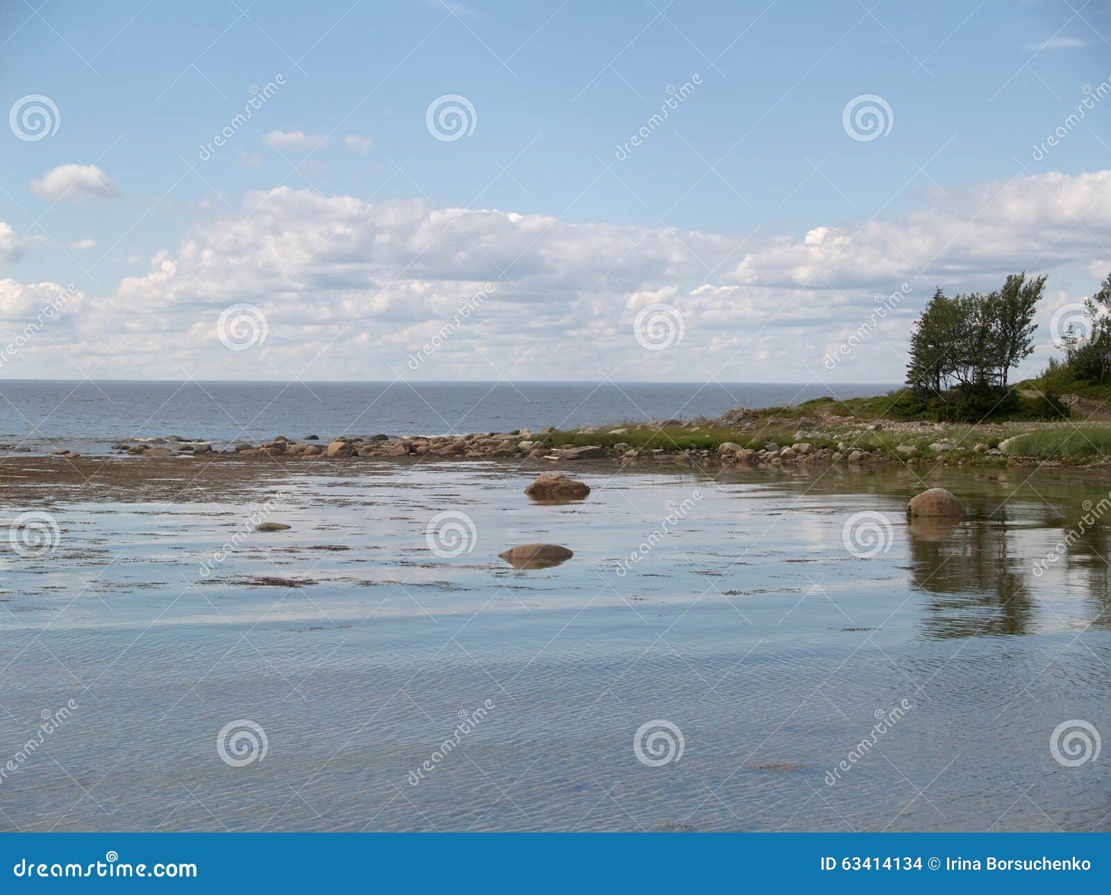 The Coast of the White Sea at the Big Solovki Island Stock Photo ...