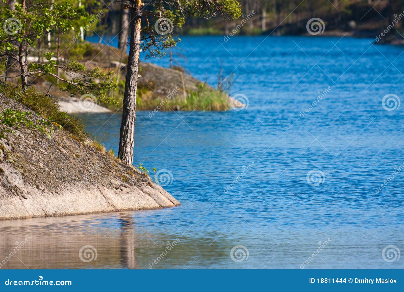 Coast of wood lake stock photo. Image of lakes, outdoors - 18811444