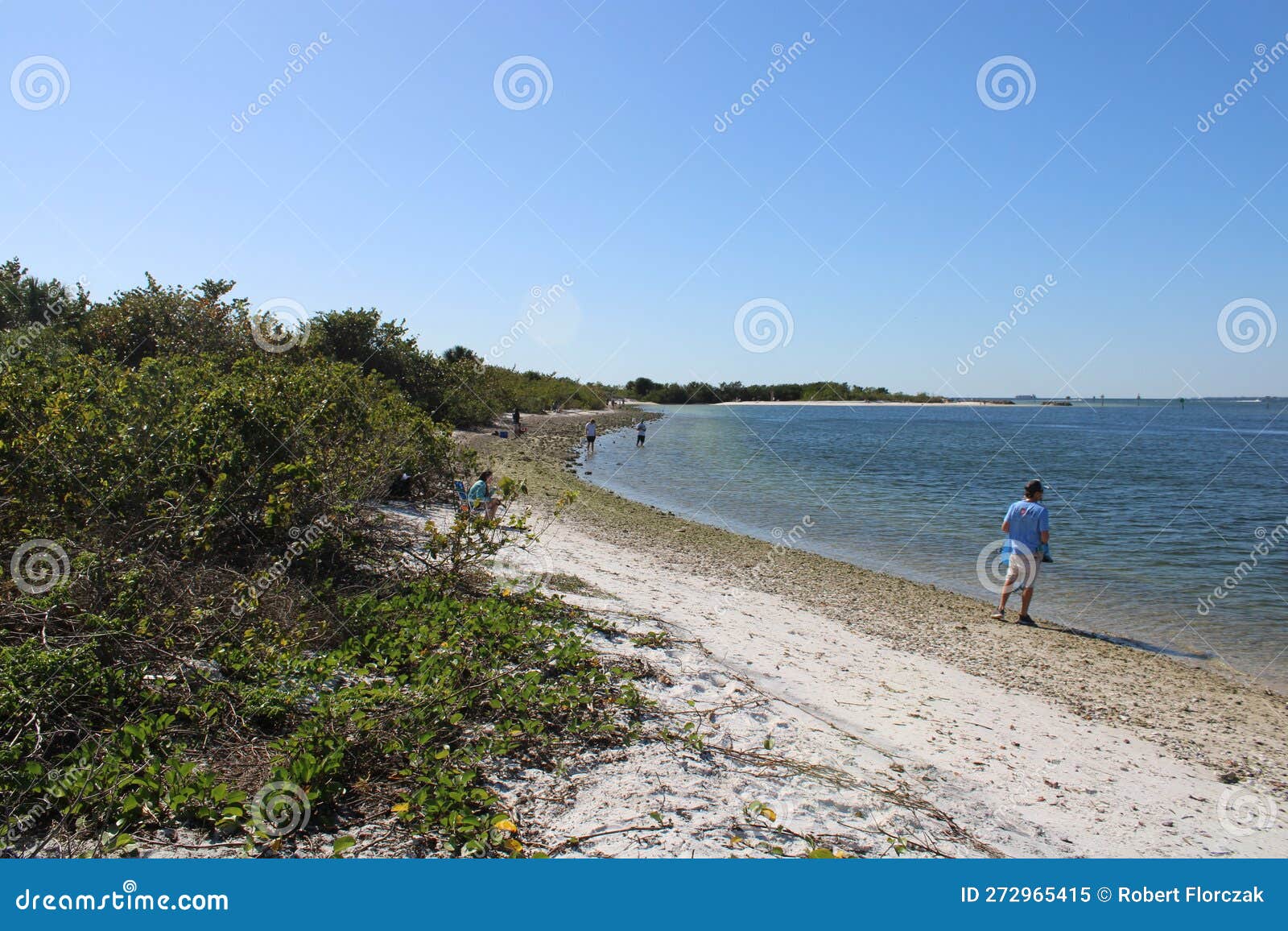 A Coastal Beach Inside Tampa Bay in Apollo Beach Florida. Editorial ...