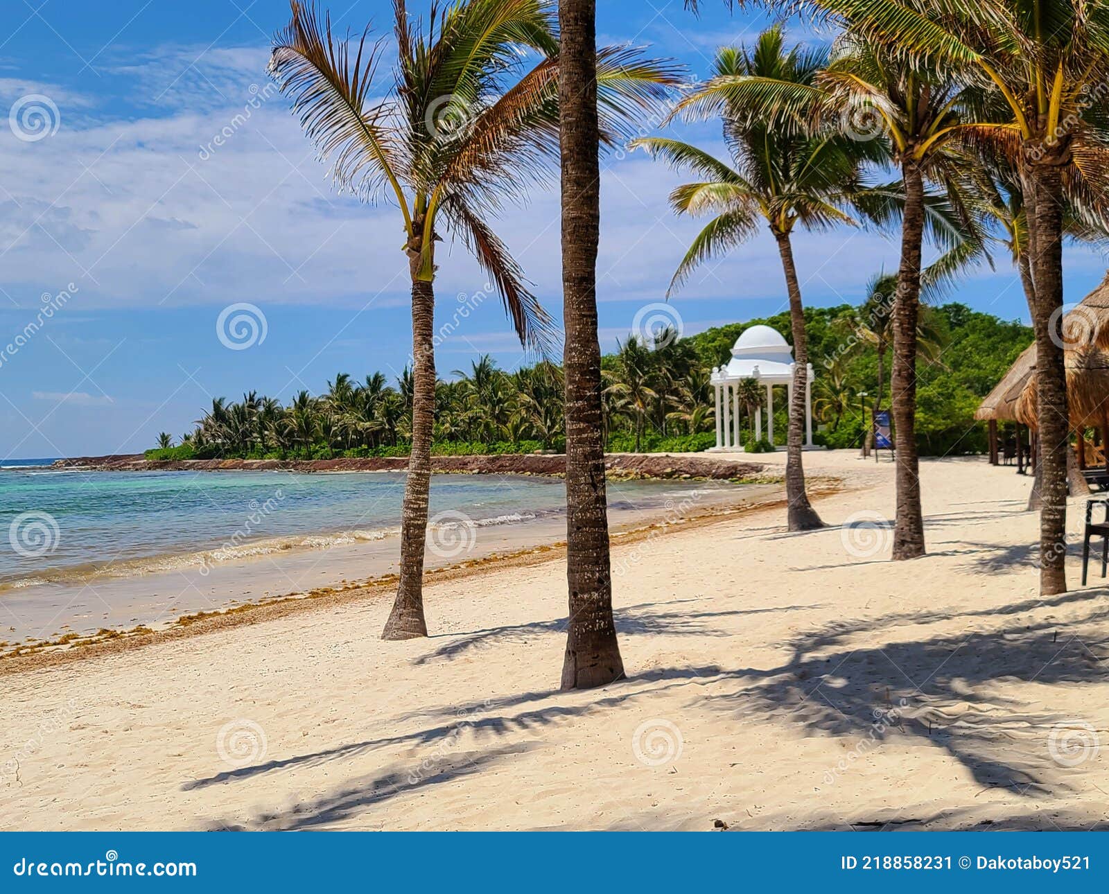 Coastal Beach in Sunny Mexico Stock Image - Image of palm, coastal ...