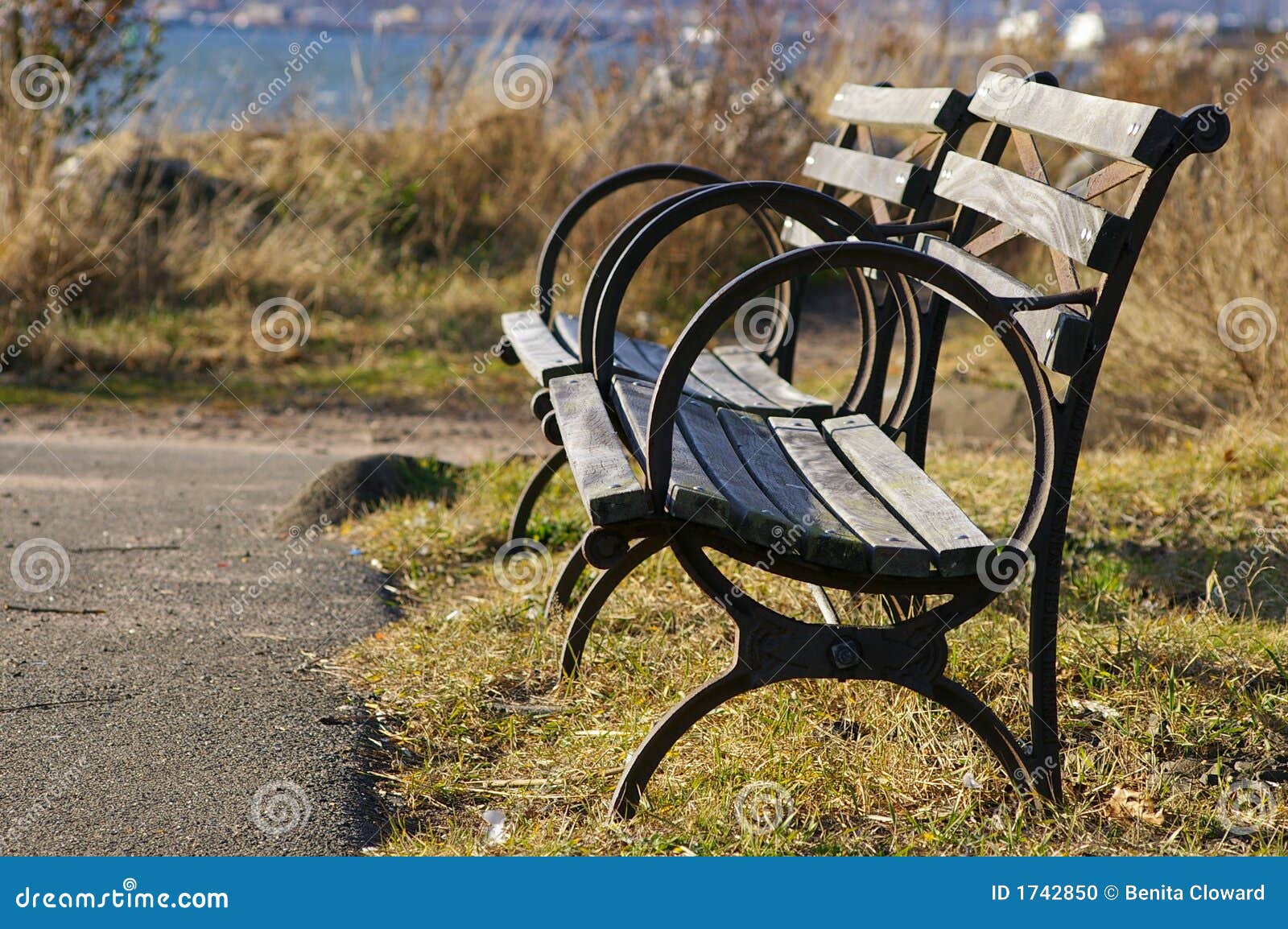 Coastal bench with path stock photo. Image of seat, wood - 1742850