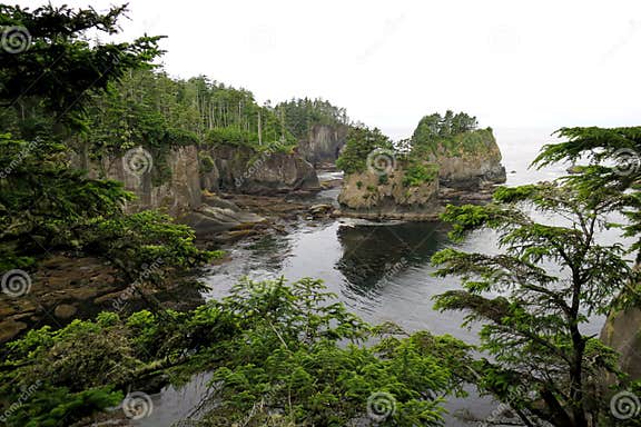 Coastal Cliffs in Washington State Stock Image - Image of cliffs, green ...