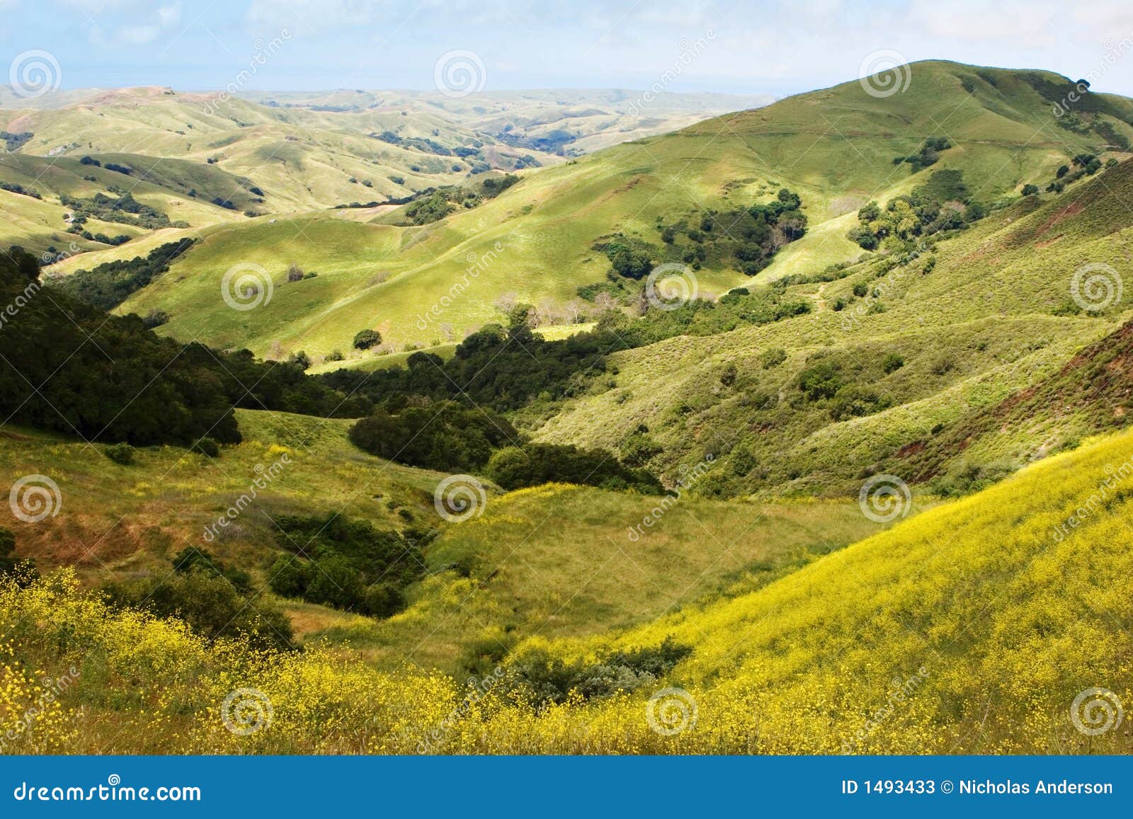 Coastal Foothills stock image. Image of grass, mountain - 1493433