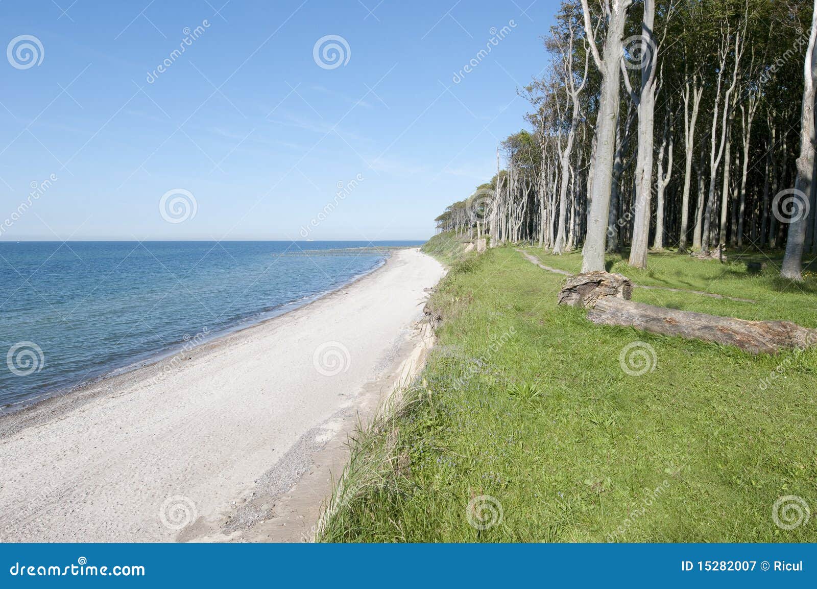 Coastal forest stock image. Image of sand, water, path - 15282007
