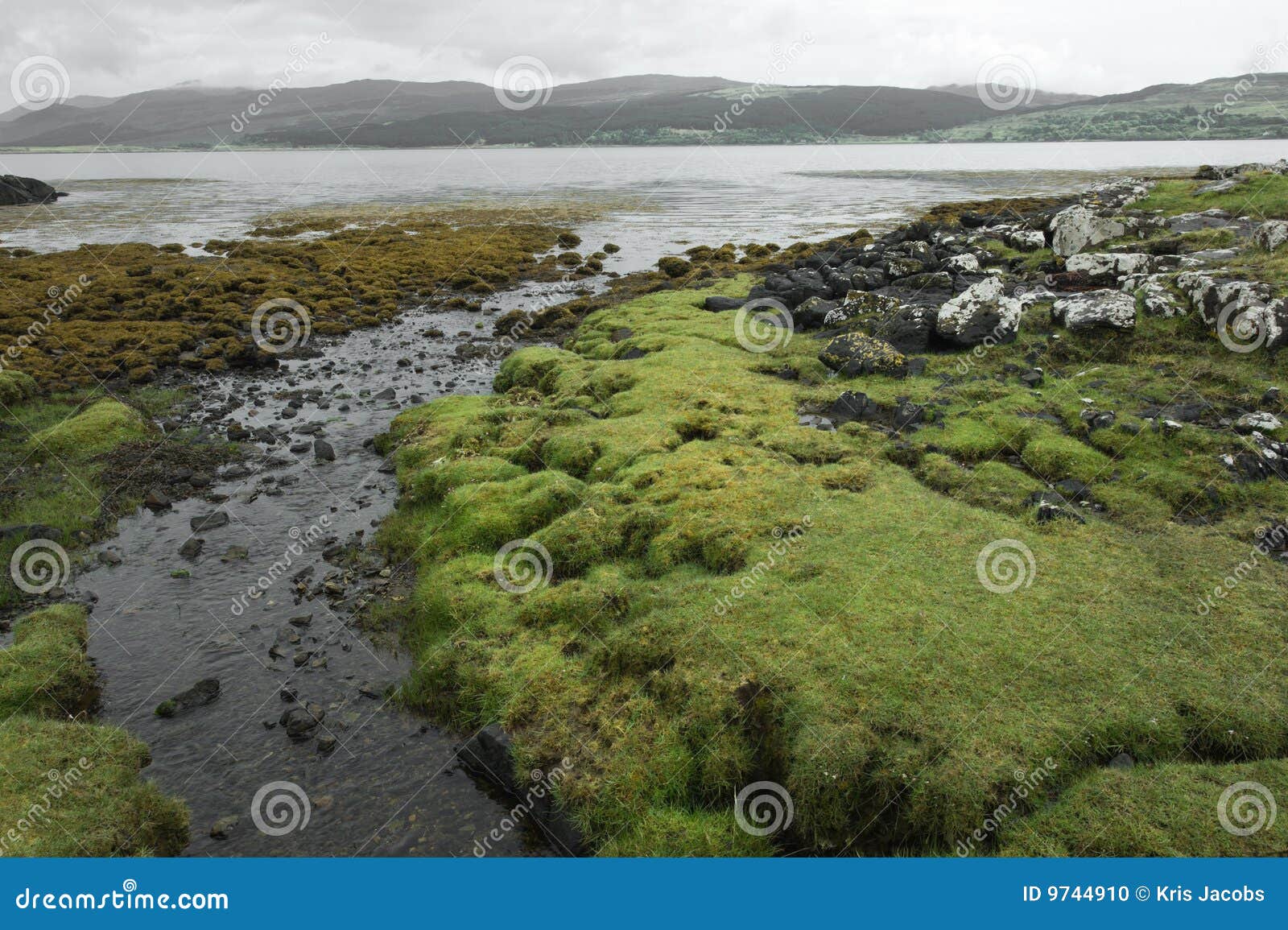 Coastal landscape stock photo. Image of river, travel - 9744910