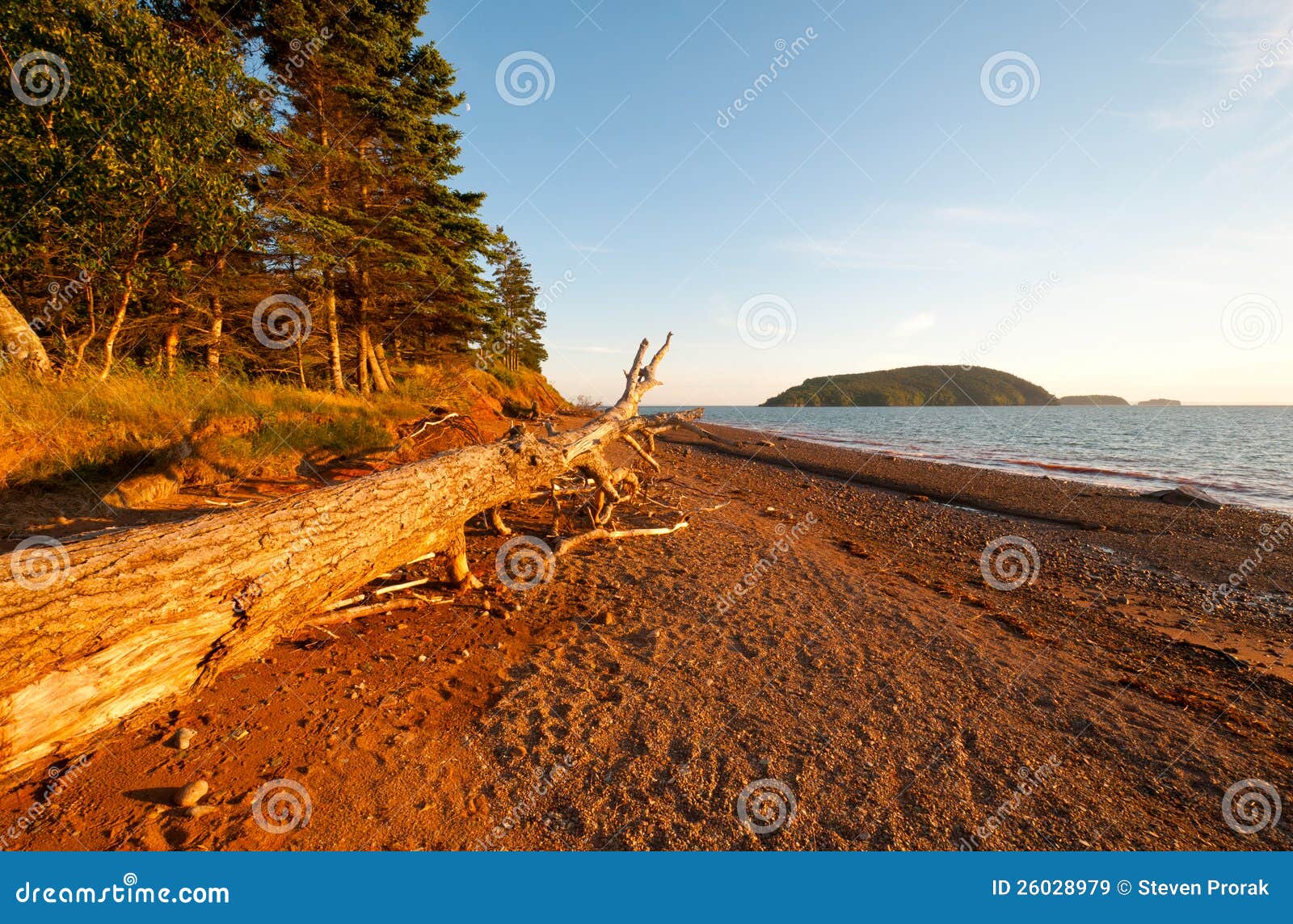Coastal Log at Sunset stock image. Image of landscape - 26028979