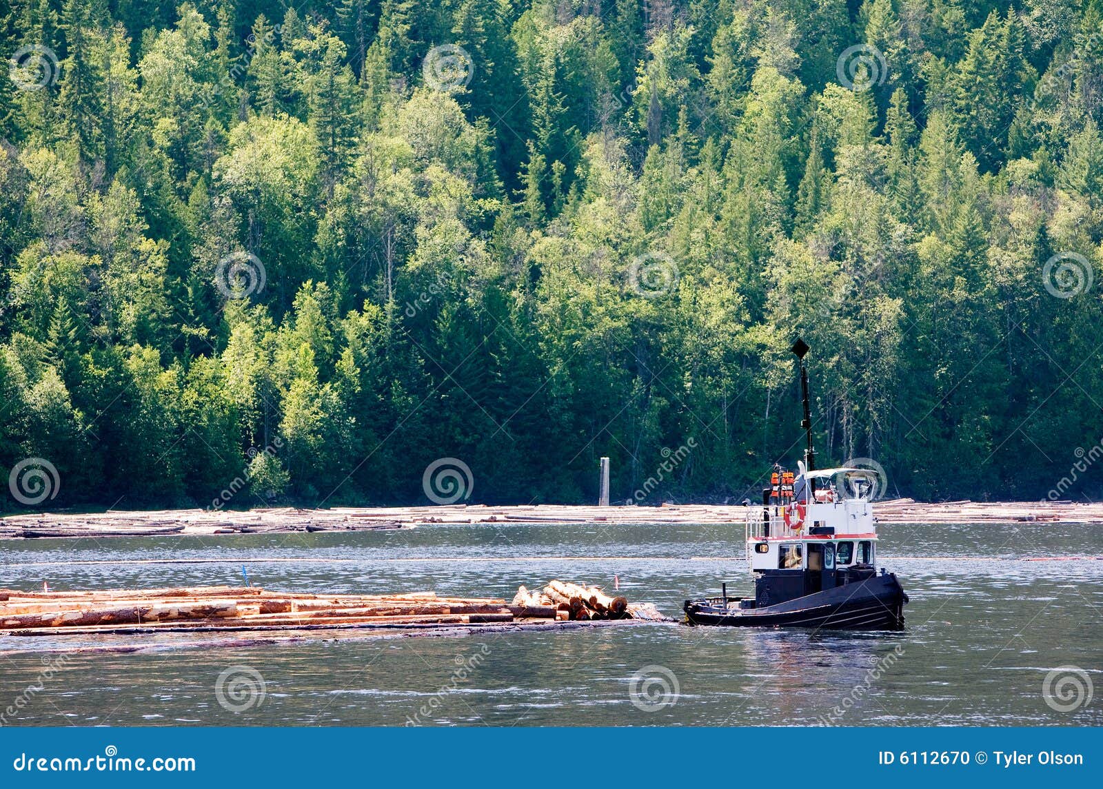 Coastal Logging stock photo. Image of logging, nature - 6112670