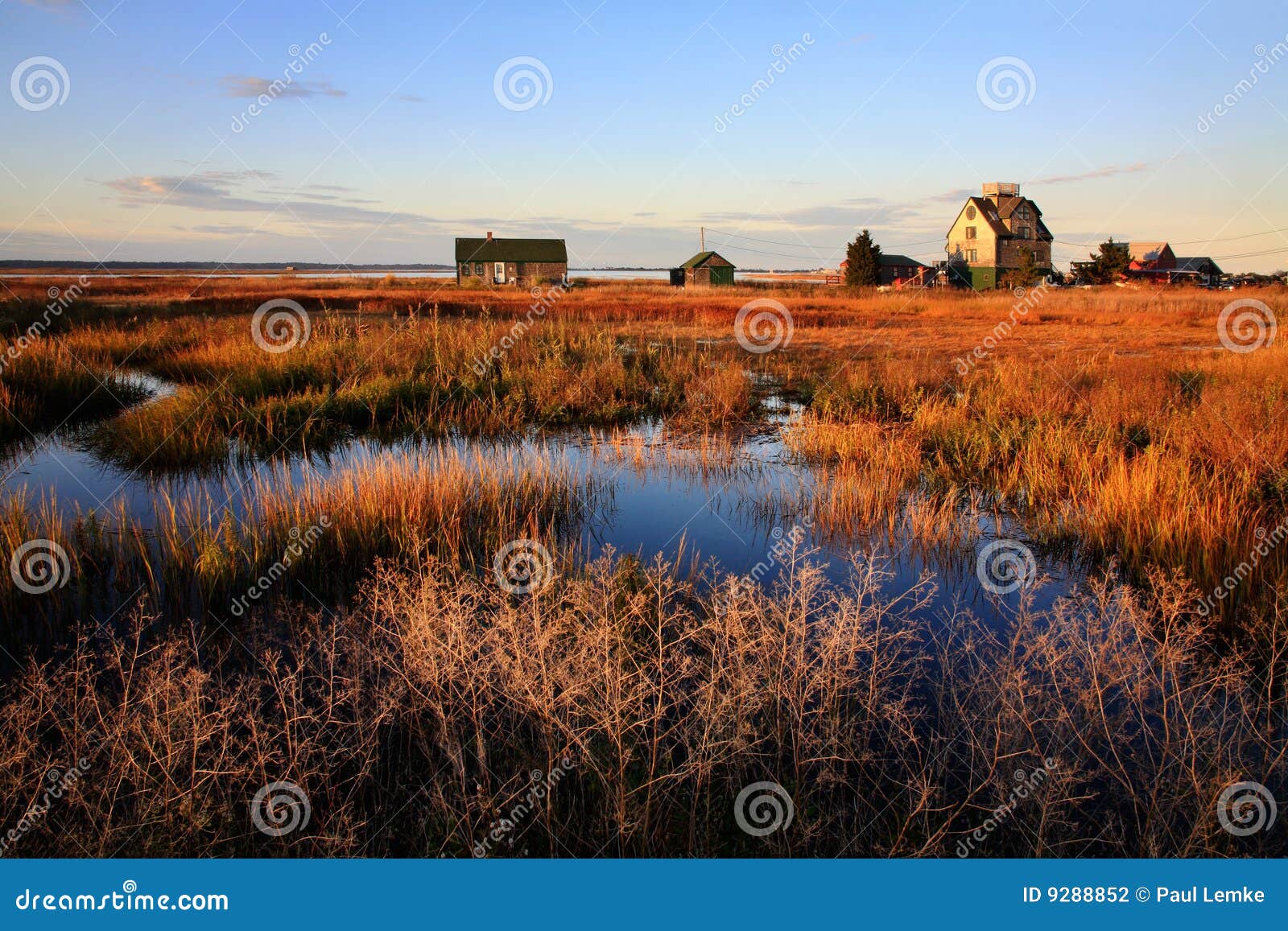 Coastal Marsh stock photo. Image of quiet, atlantic, marshy - 9288852