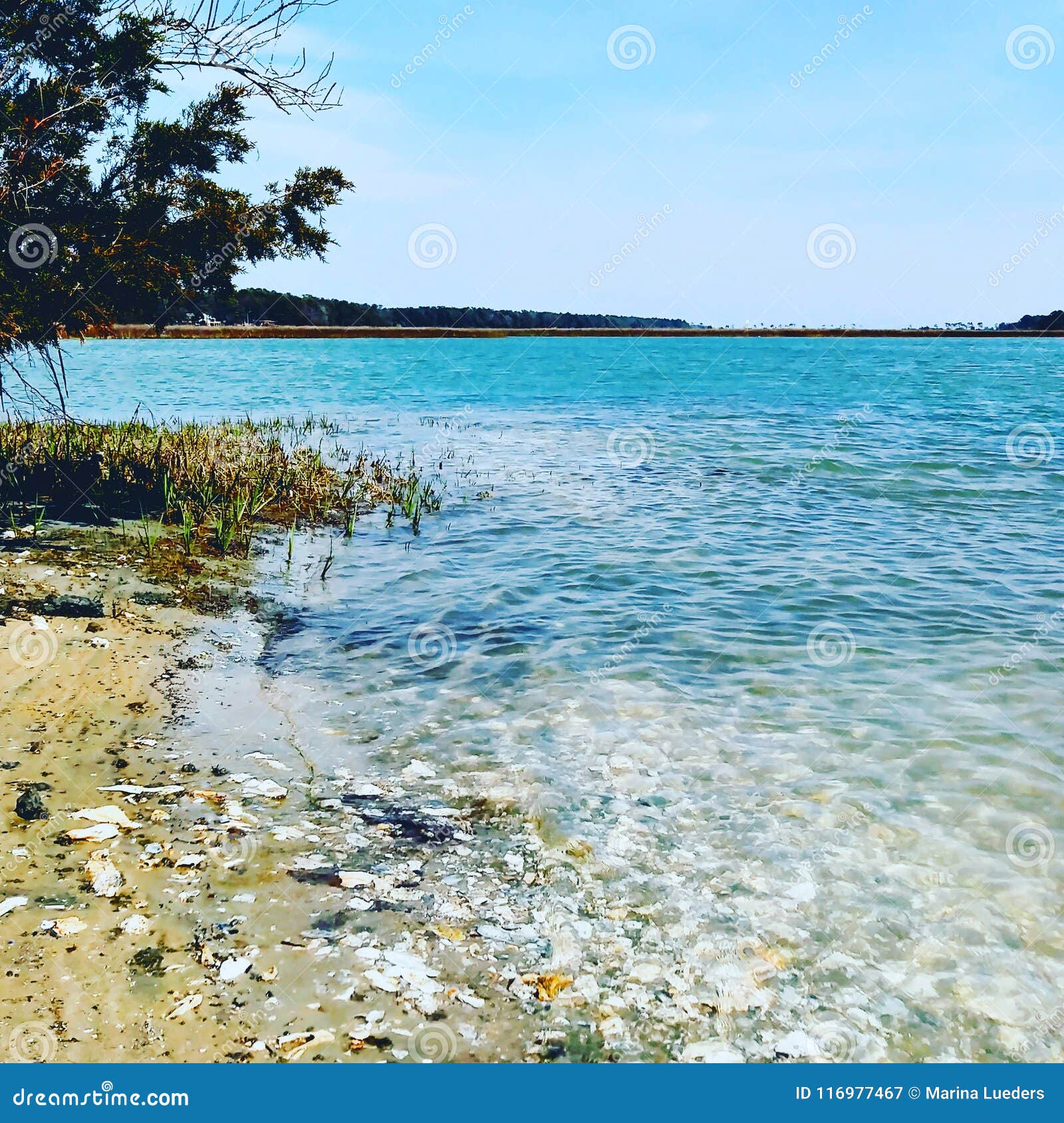 Inlet blue water stock image. Image of water, blue, coastal - 116977467