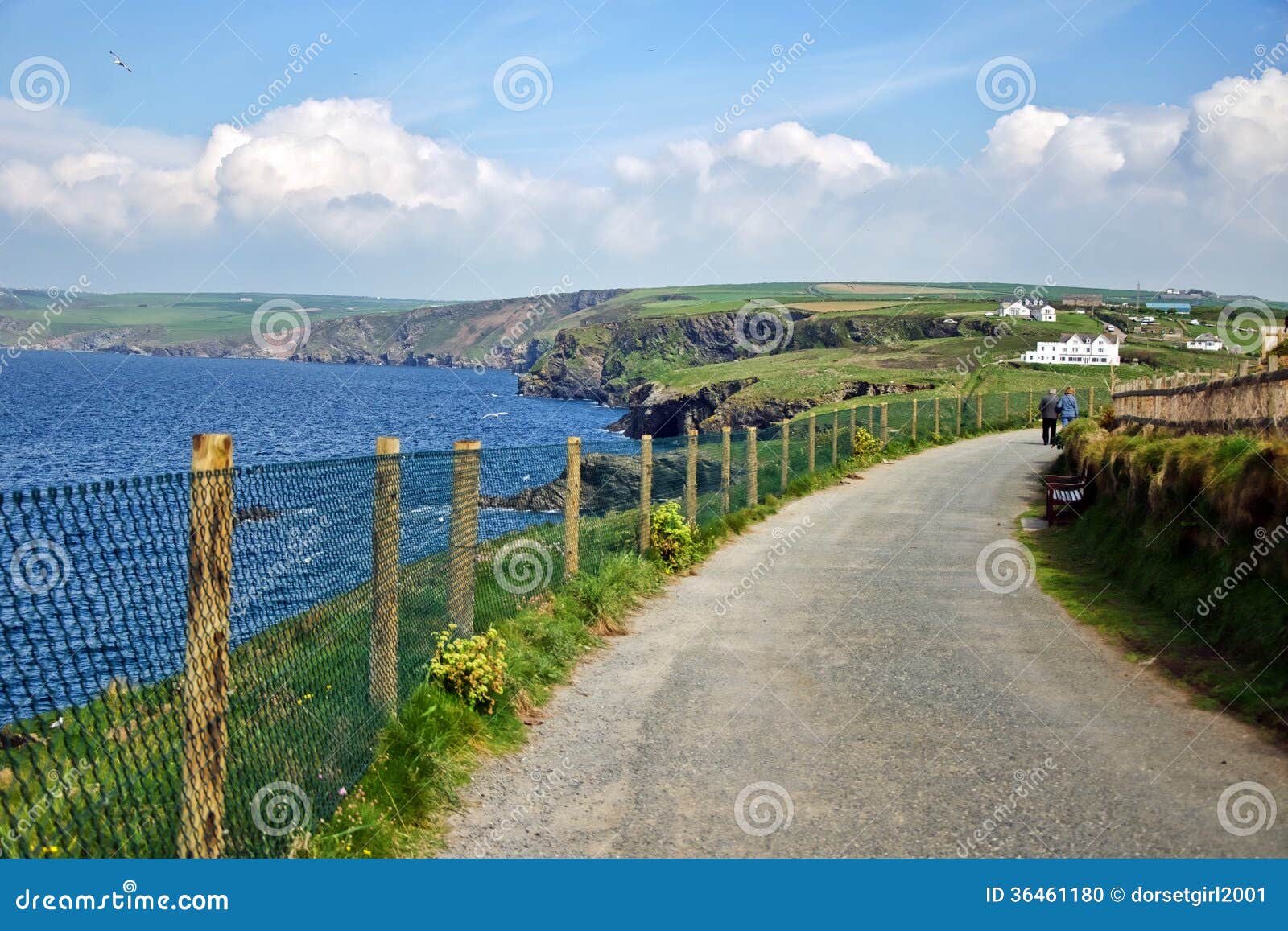 Coastal Path ~ Port Isaac stock photo. Image of pathway - 36461180