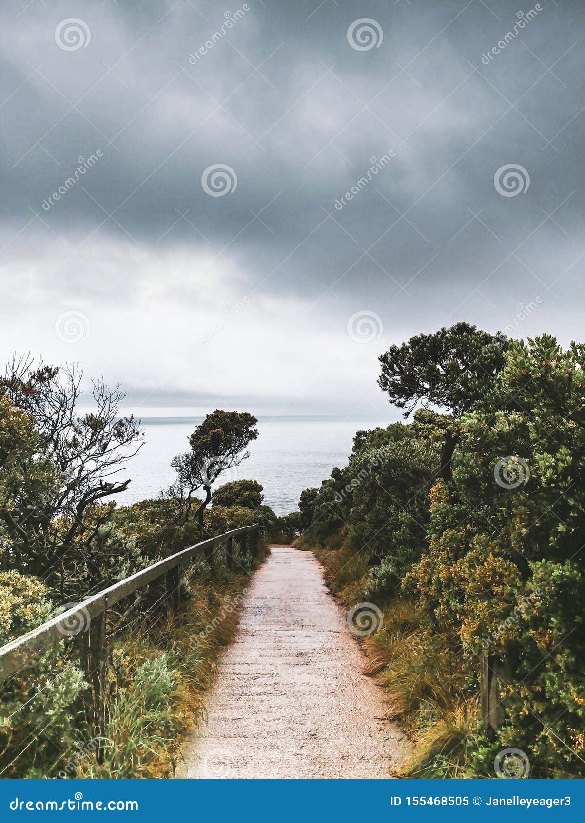 Coastal Pathway in Australia Stock Image - Image of island, road: 155468505