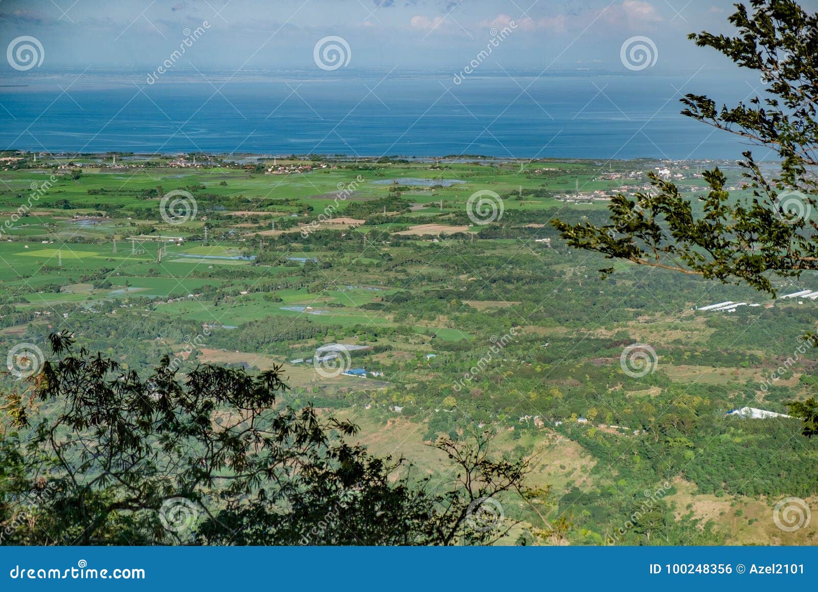 Coastal Plains stock photo. Image of green, national - 100248356