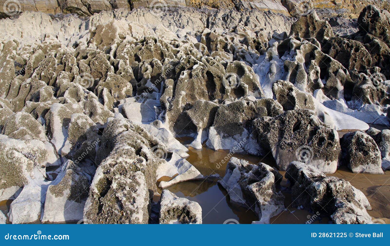 Coastal Rocks Shaped by the Sea Stock Image - Image of coastline ...