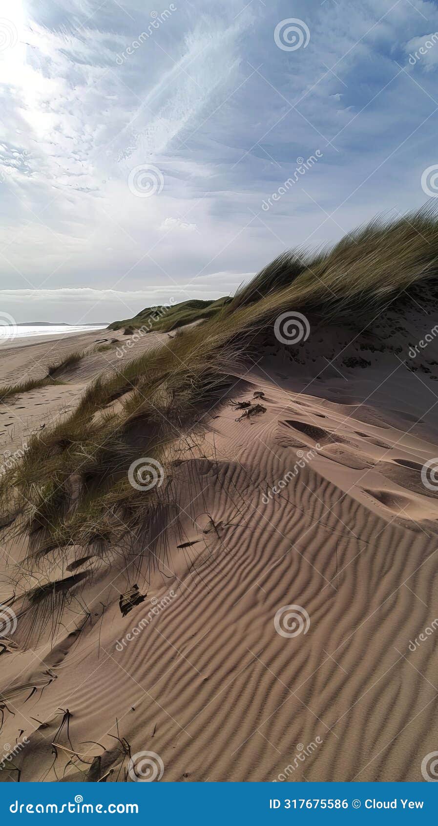 Coastal Sand Dunes Shaped by the Wind Stock Illustration - Illustration ...