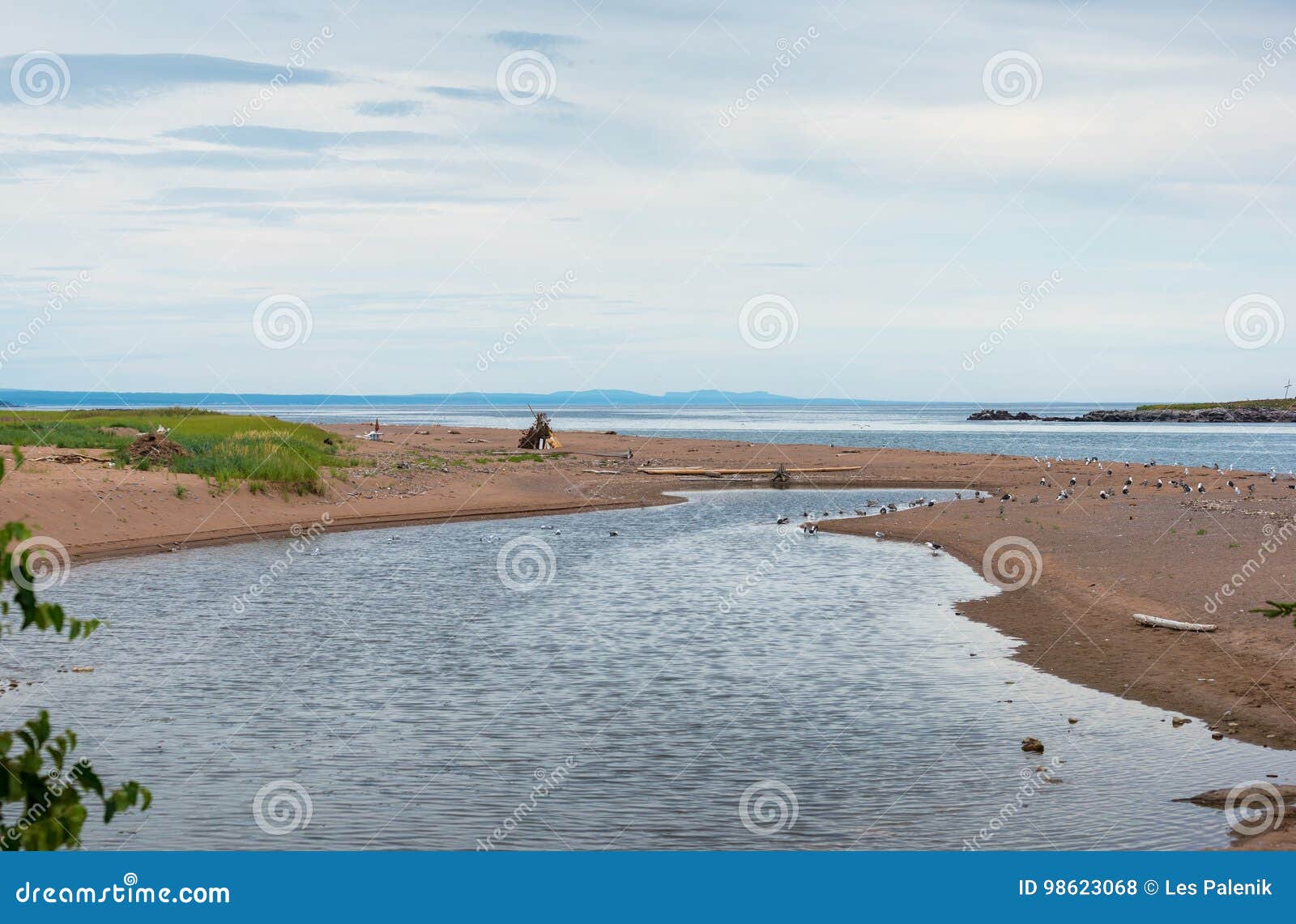 Coastal Scene in Gaspe, Quebec Stock Photo - Image of driftwood ...