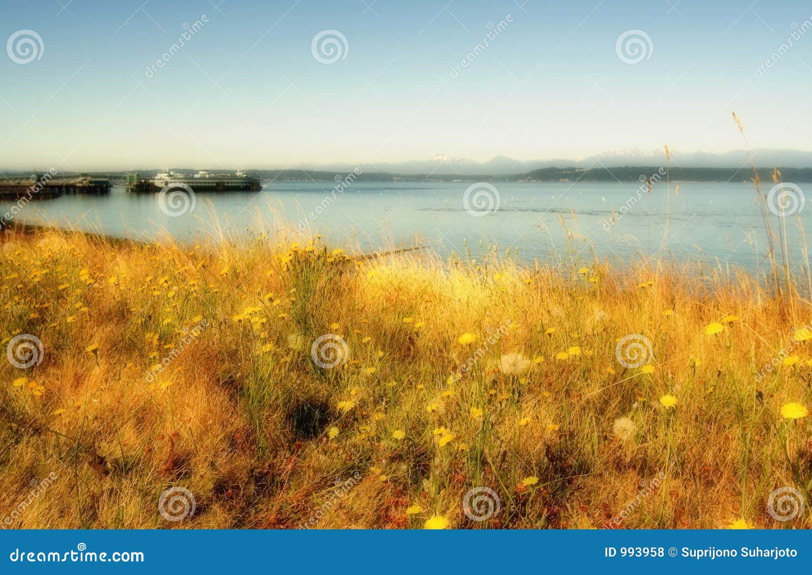 Coastal scenery stock photo. Image of coast, landscape - 993958